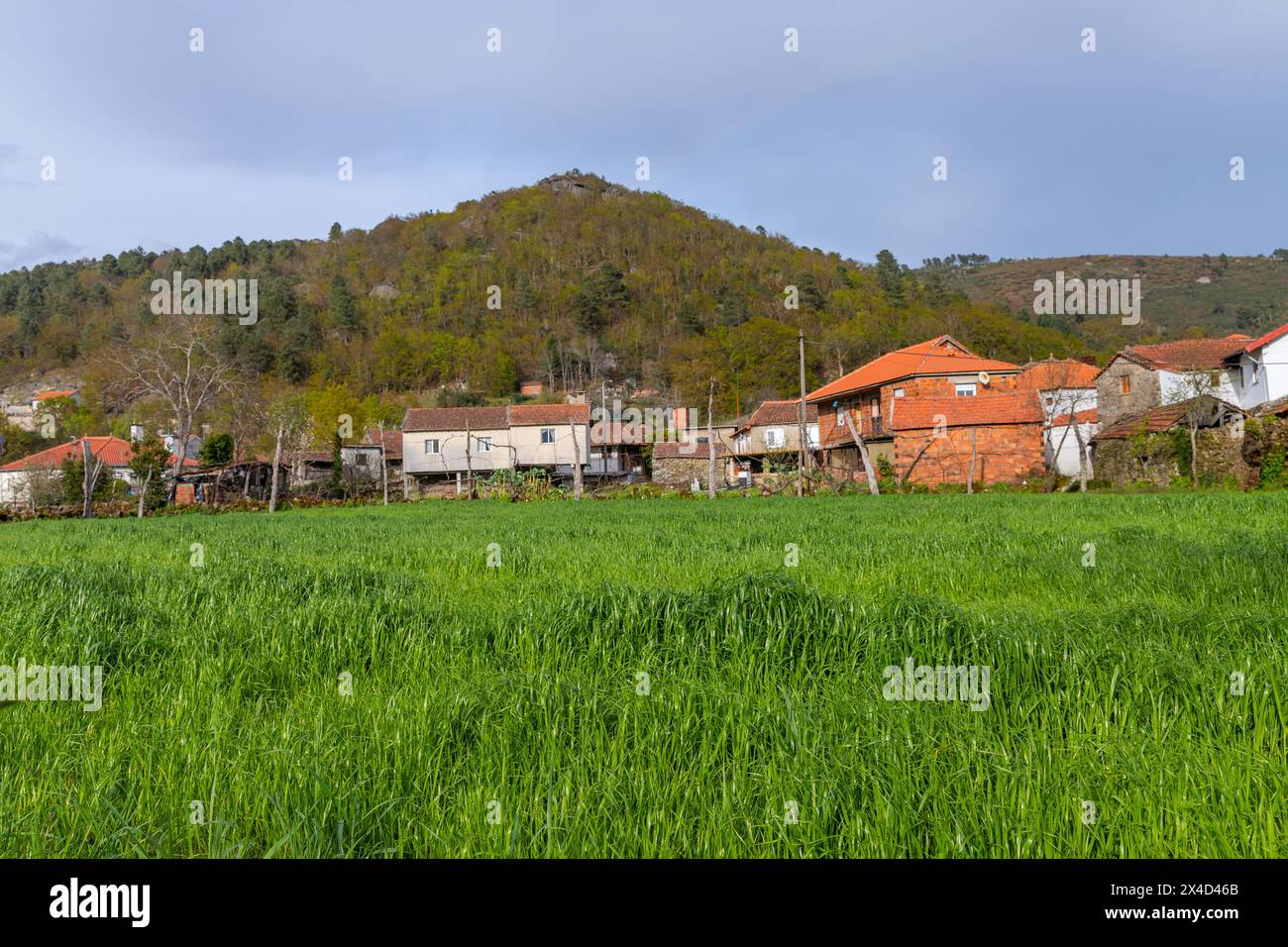 Portugal rural of Terras de Barroso, Montalegre, Portugal Stock Photo ...