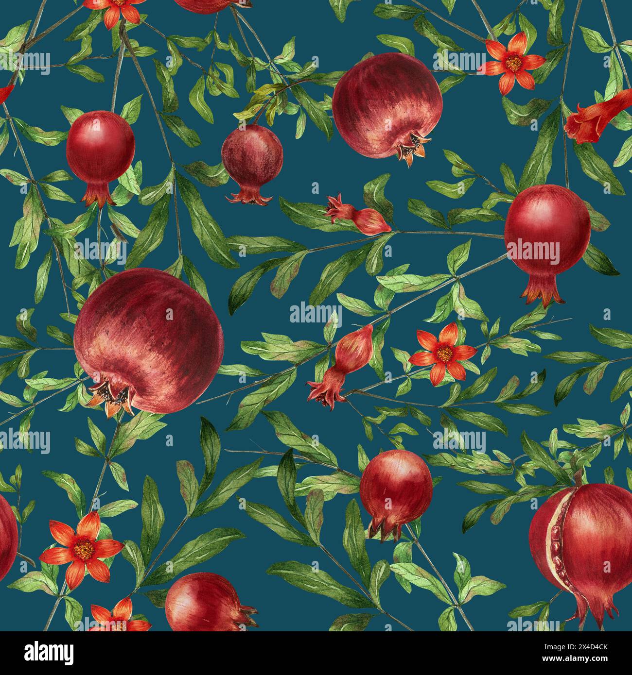 Pomegranate, watercolor illustration, realistic, leaves, decoration ...