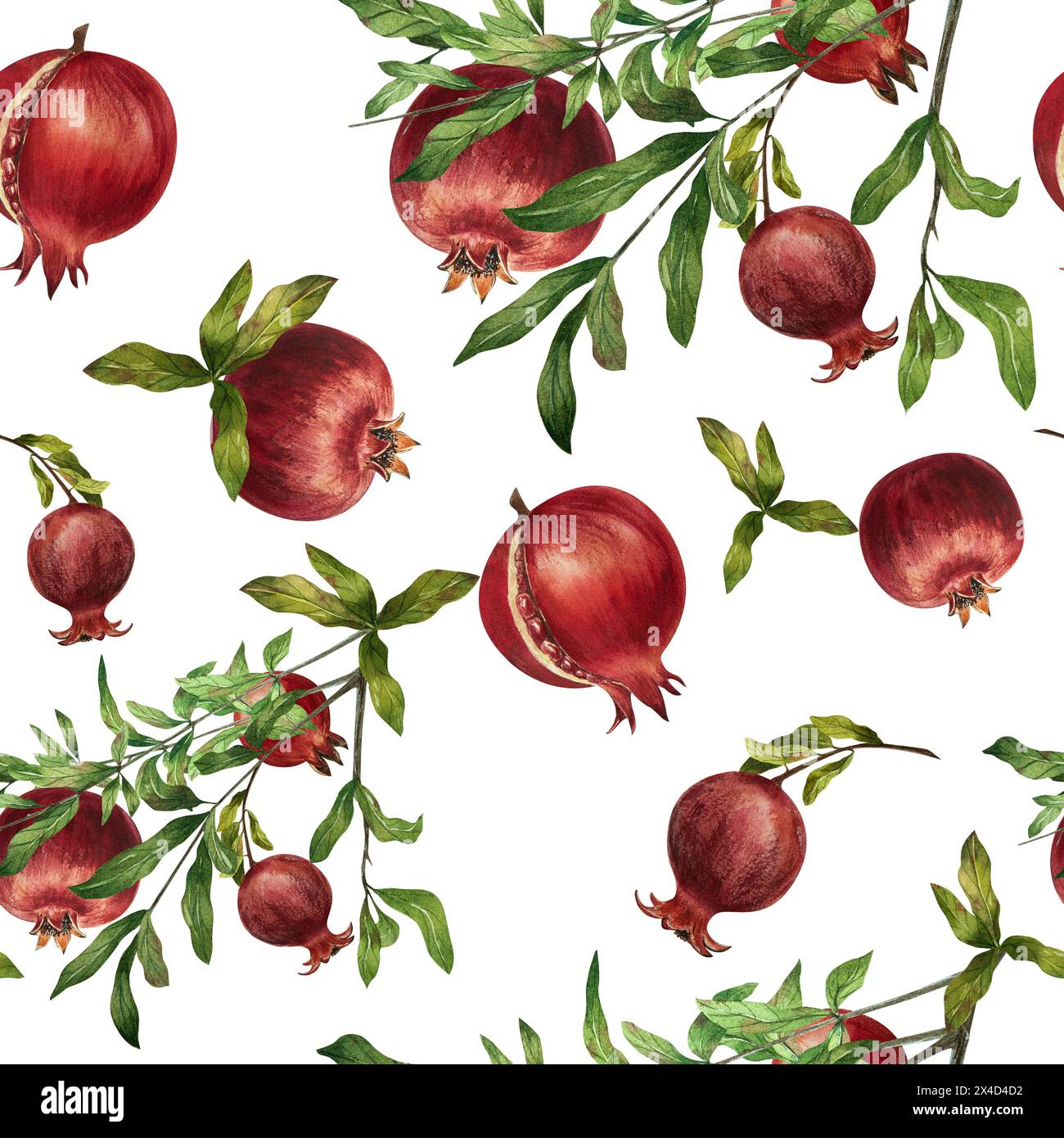 Pomegranate, watercolor illustration, decoration, hand drawn, design ...