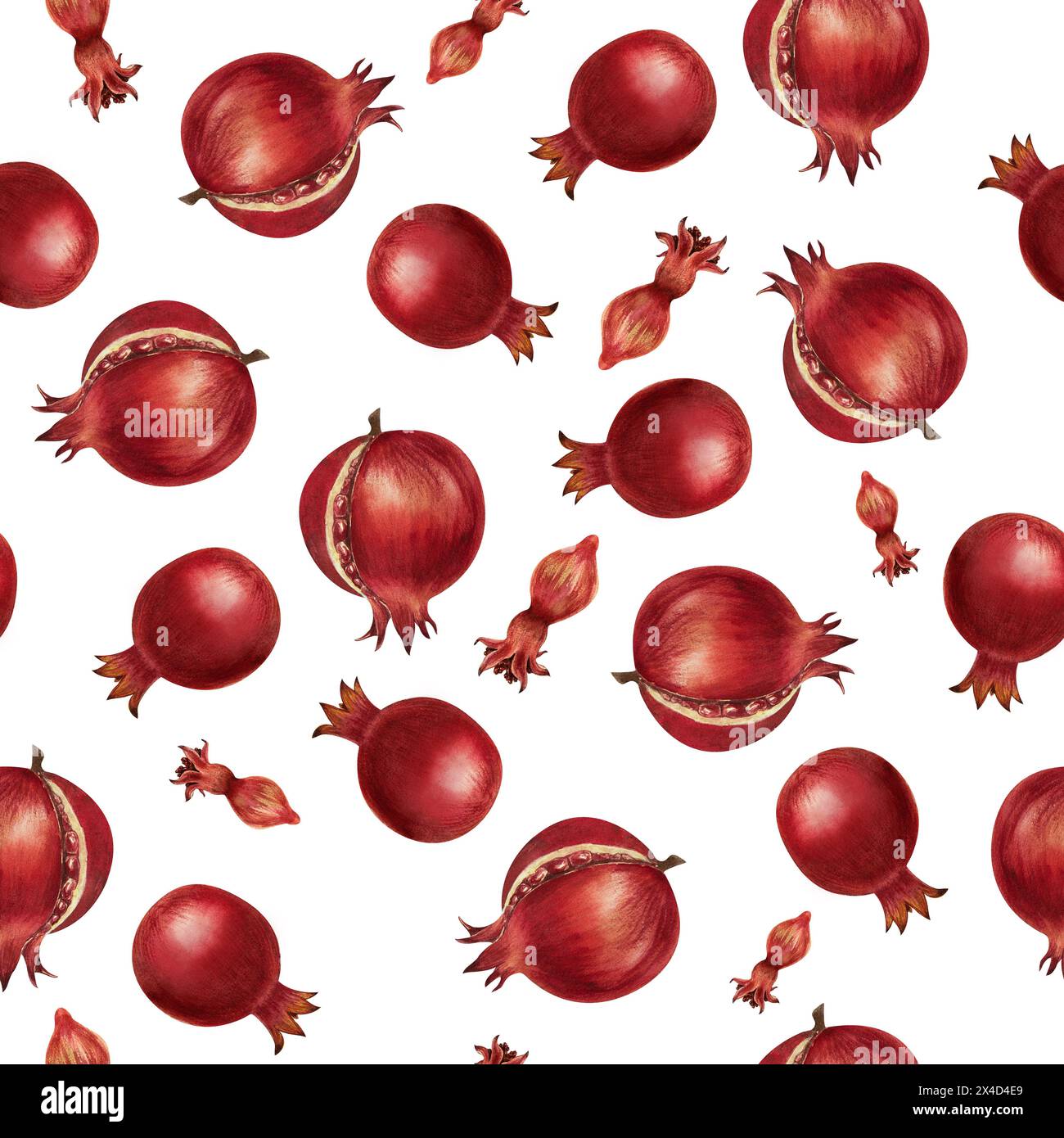 Pomegranate, watercolor illustration, decoration, hand drawn, design ...