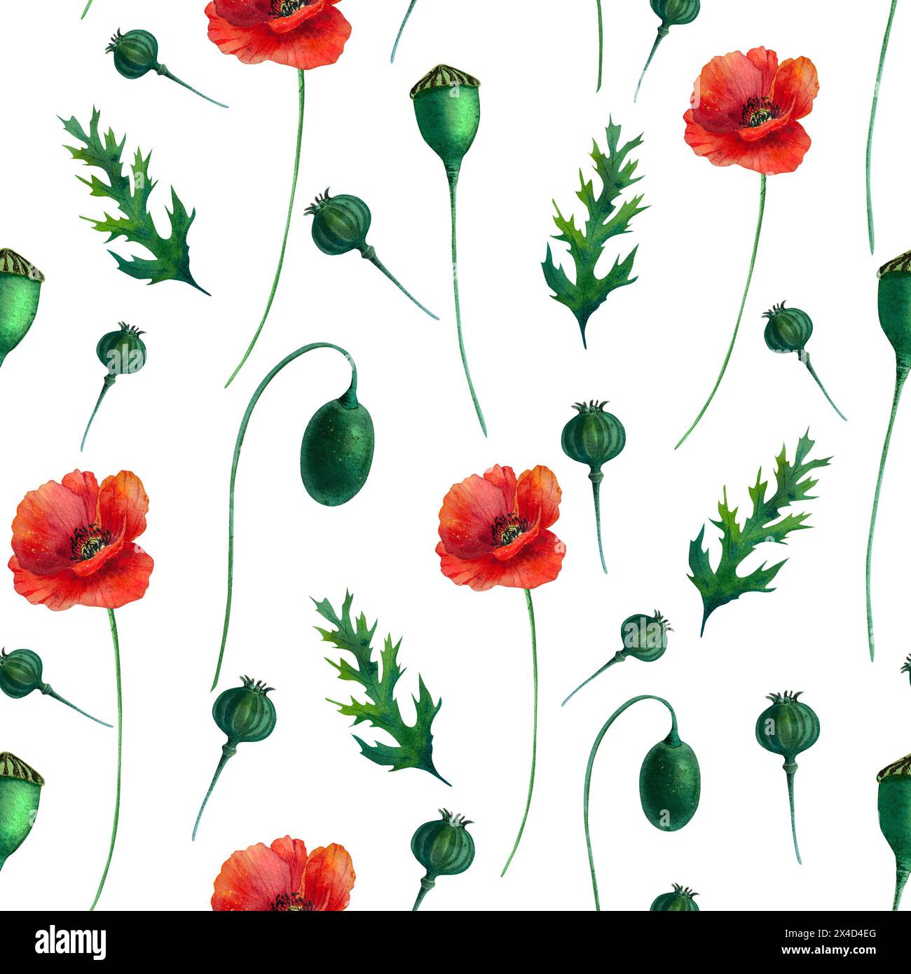 Wildflowers, poppy, seamless, pattern, watercolor, hand painted ...