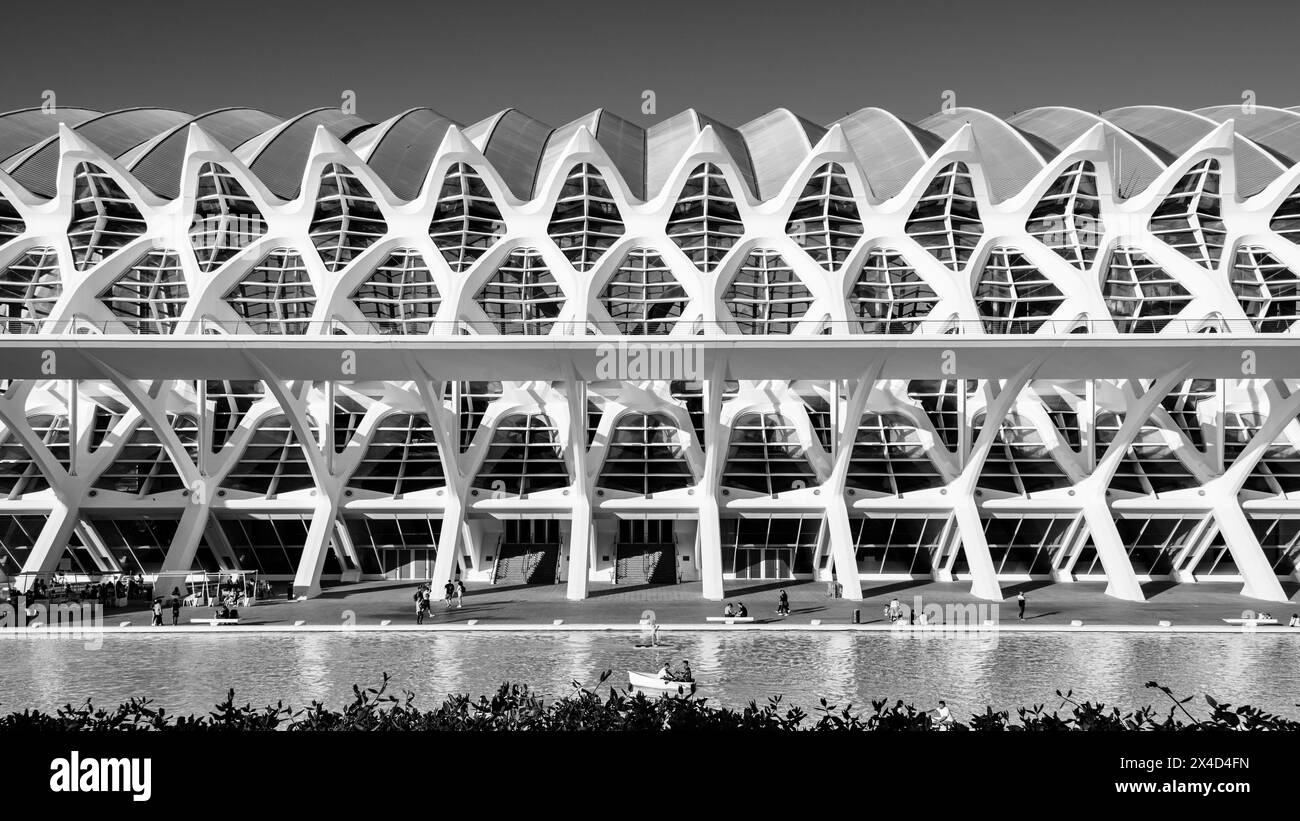 Seals fish Black and White Stock Photos & Images - Alamy