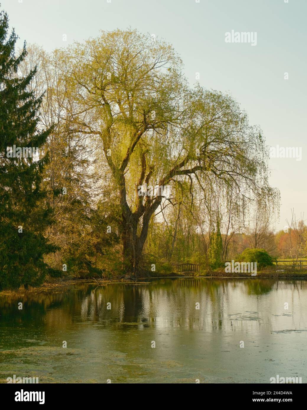 Elizaville hi-res stock photography and images - Alamy