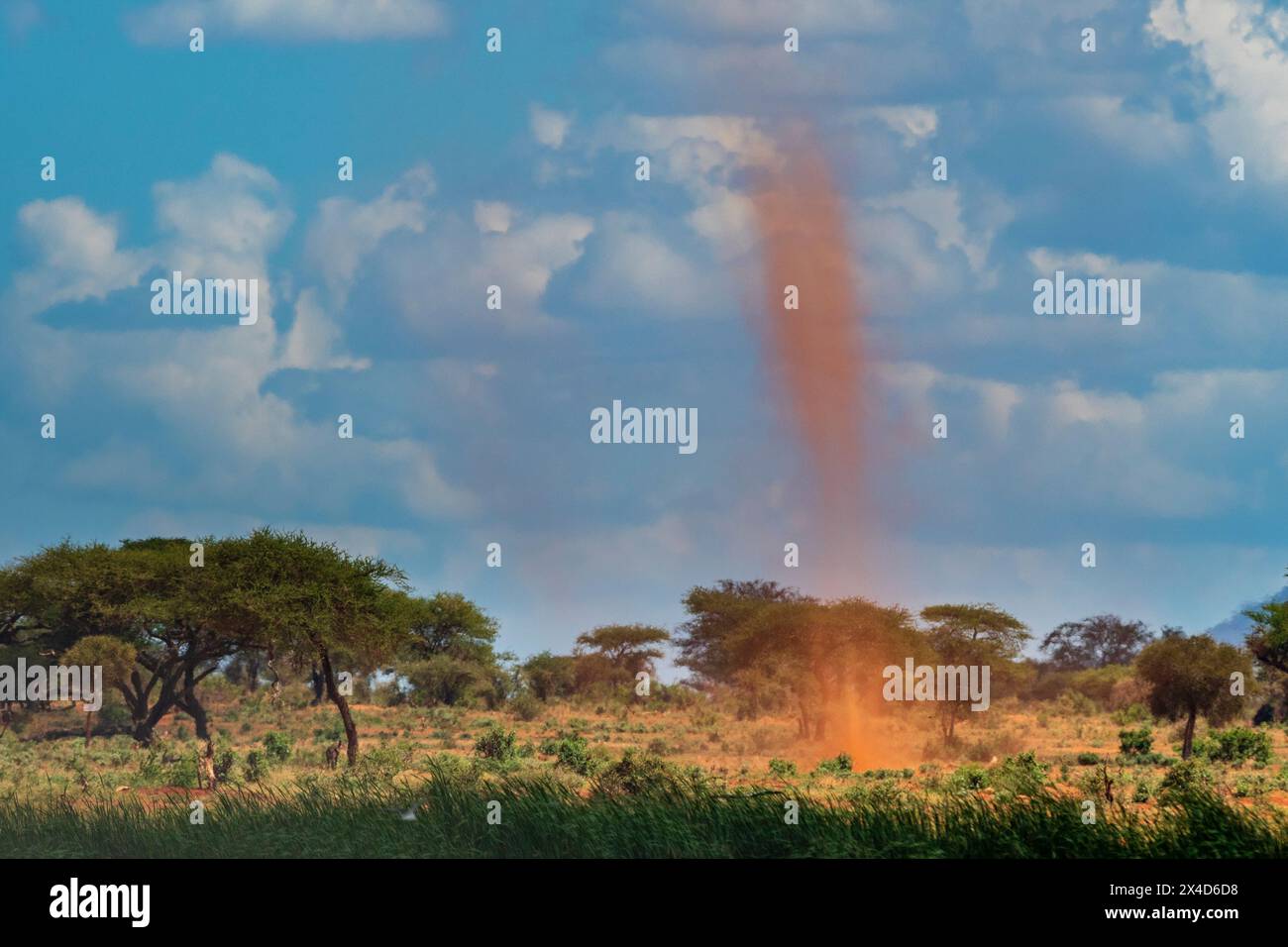 A dust tornado, also known as dust devil, touches down in Tsavo ...