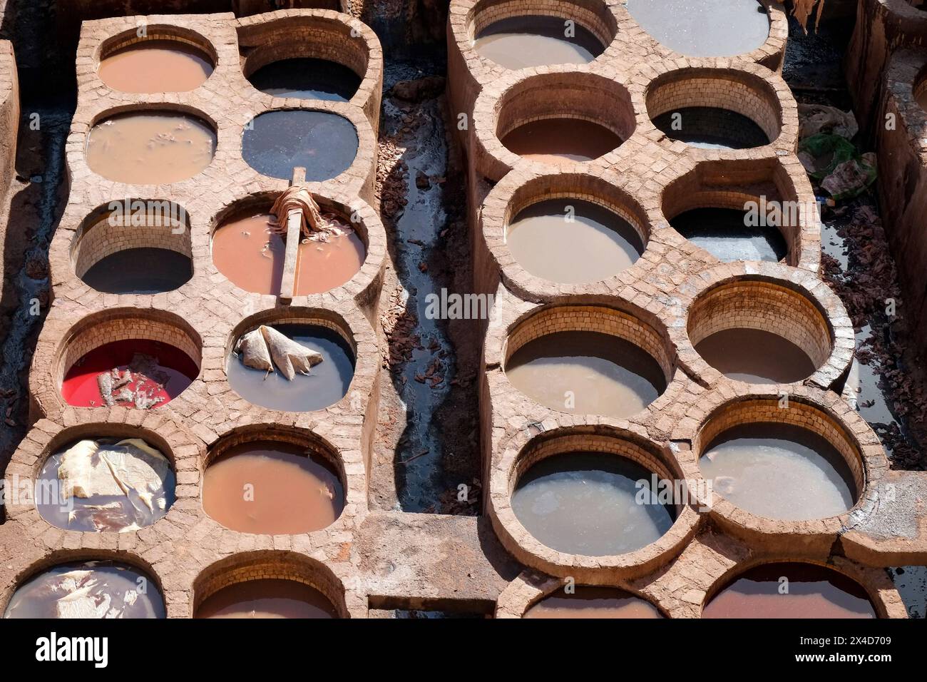 Fes, Morocco. Tannery section of the medina. Hides are tanned and hand ...