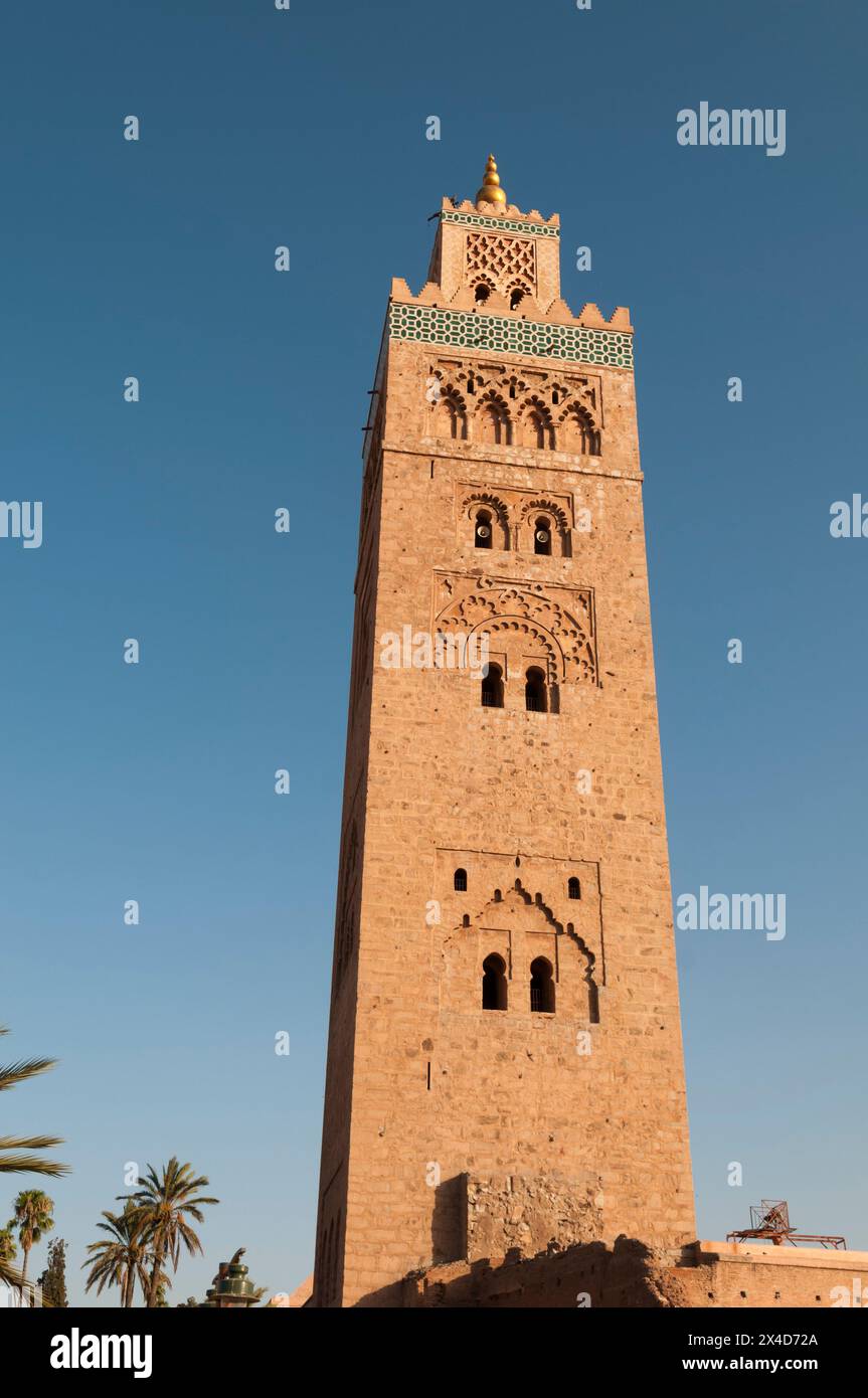 Palm trees towering mosque hi-res stock photography and images - Alamy