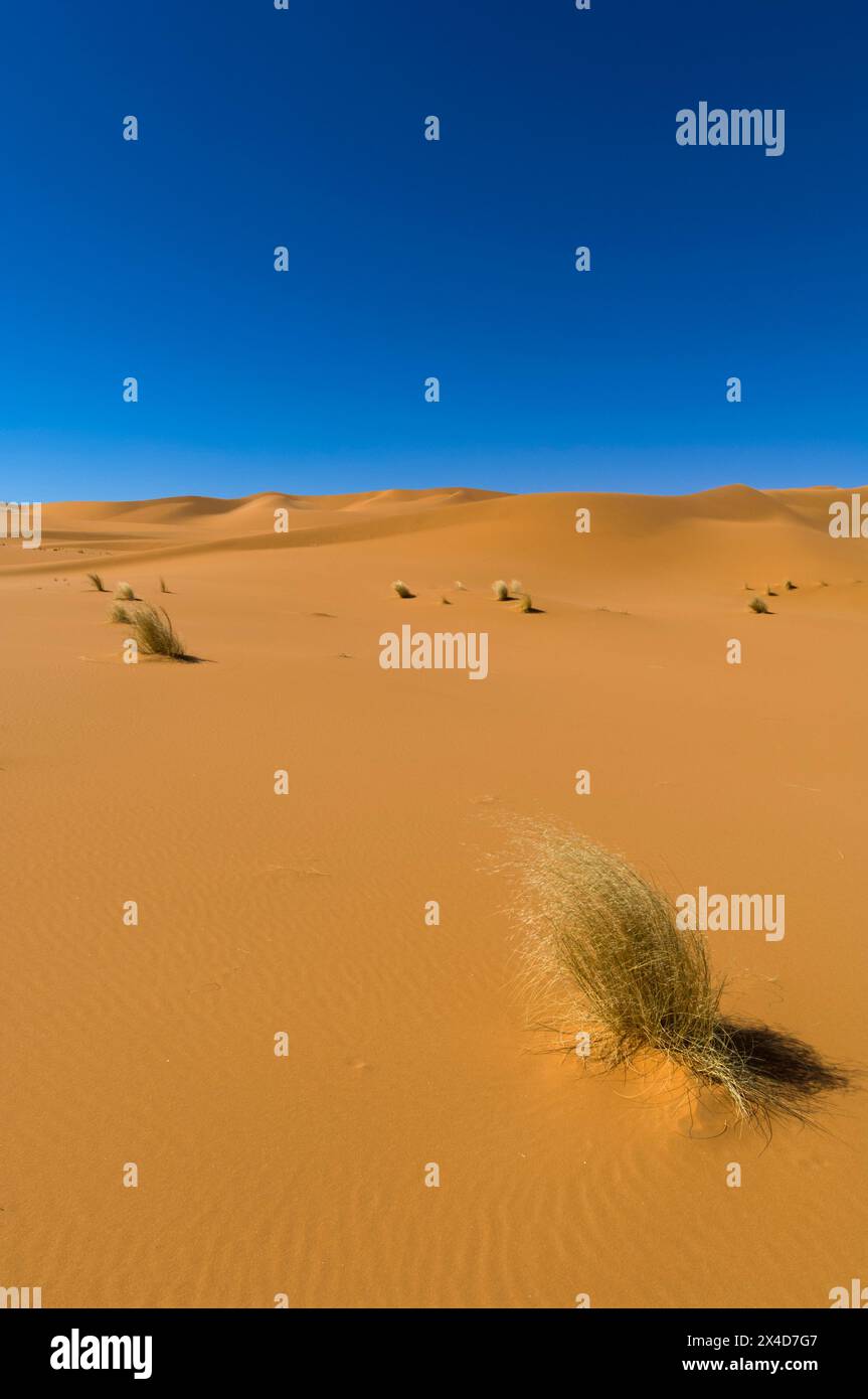 Sand dunes in the Sahara desert. Akakus, Fezzan, Libya Stock Photo - Alamy