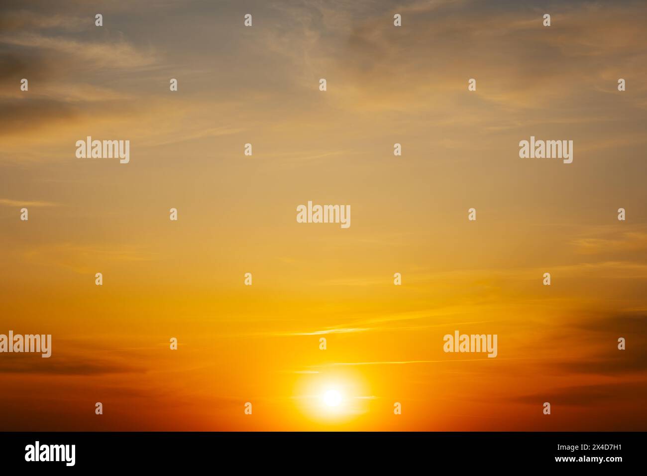 Majestic dusk. Beautiful warm blue sky with vivid golden shades. Dense ...
