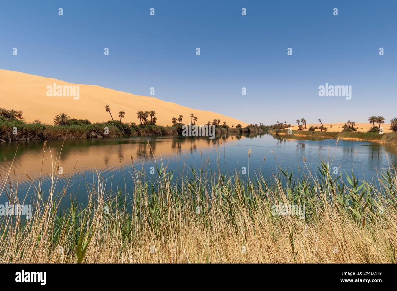 A view of the Umm El Ma lake. Erg Awbari, Fezzan, Libya Stock Photo - Alamy