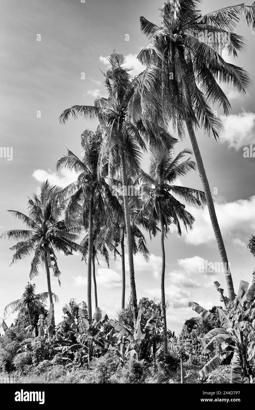 Going coastal Black and White Stock Photos & Images - Alamy