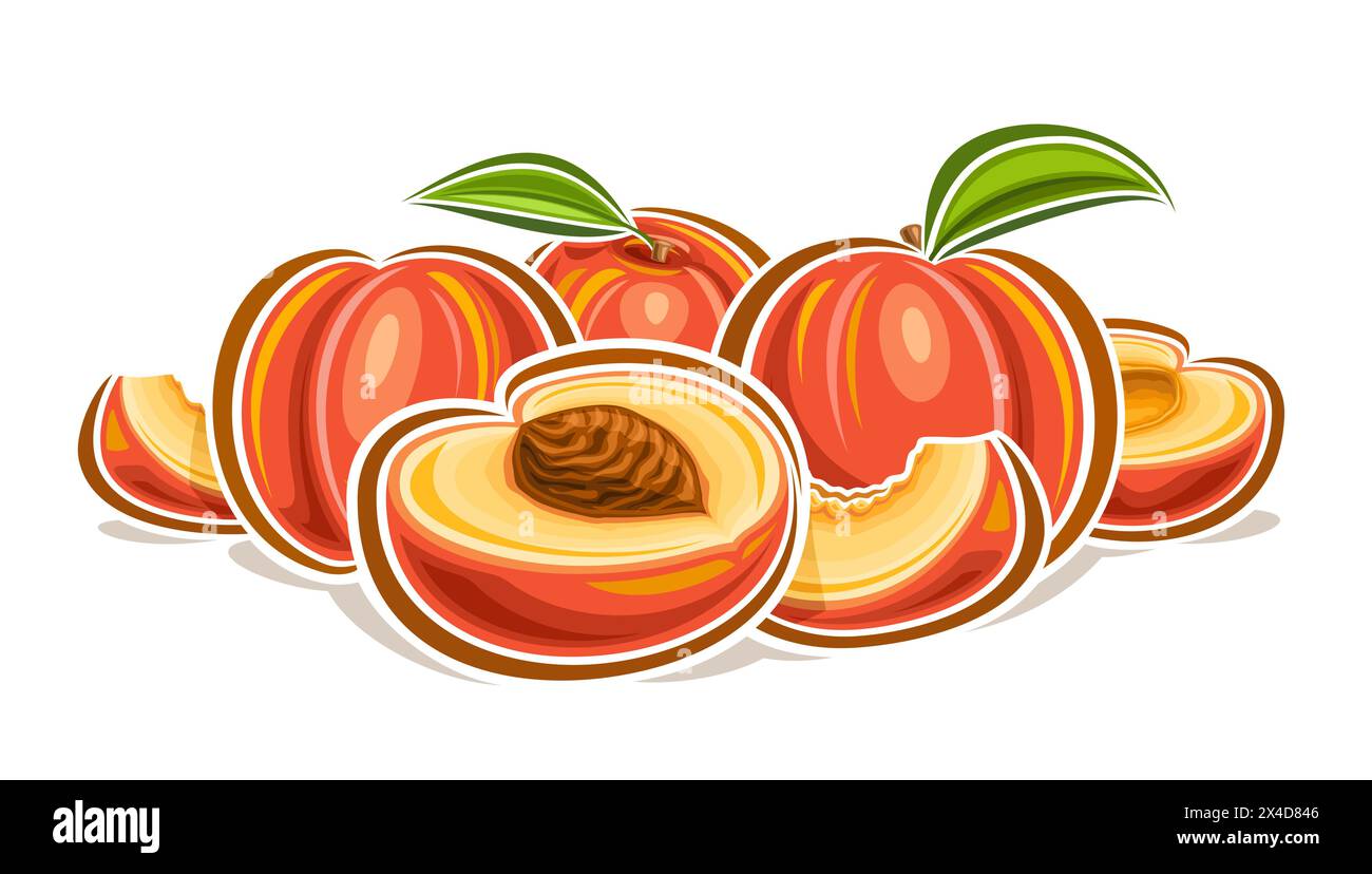 Vector logo for Peach, decorative horizontal poster with outline ...