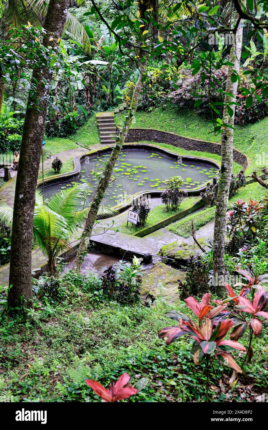Munificent grounds of the Saraswati Temple with healing waters and ...