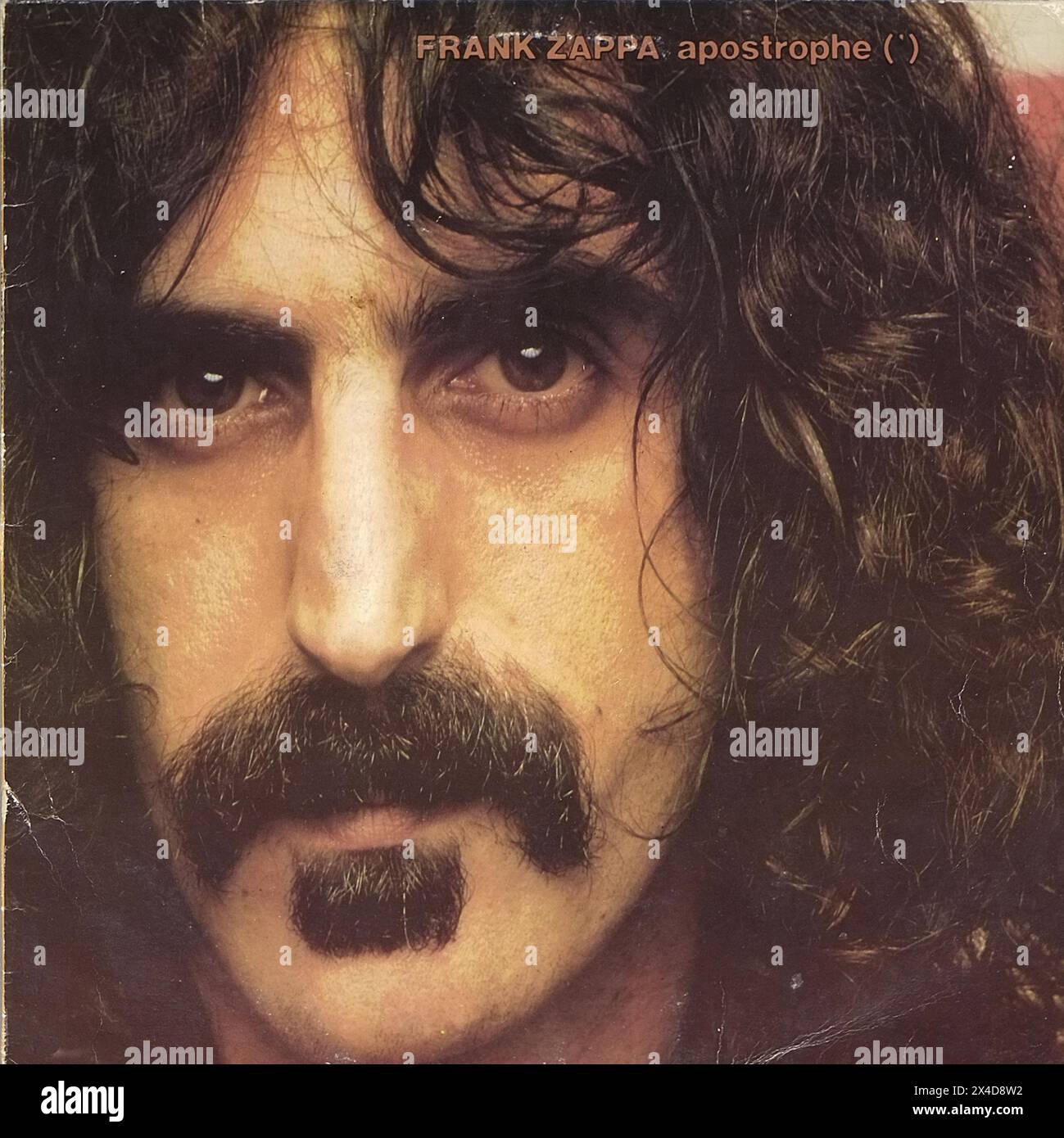 Apostrophe zappa hi-res stock photography and images - Alamy