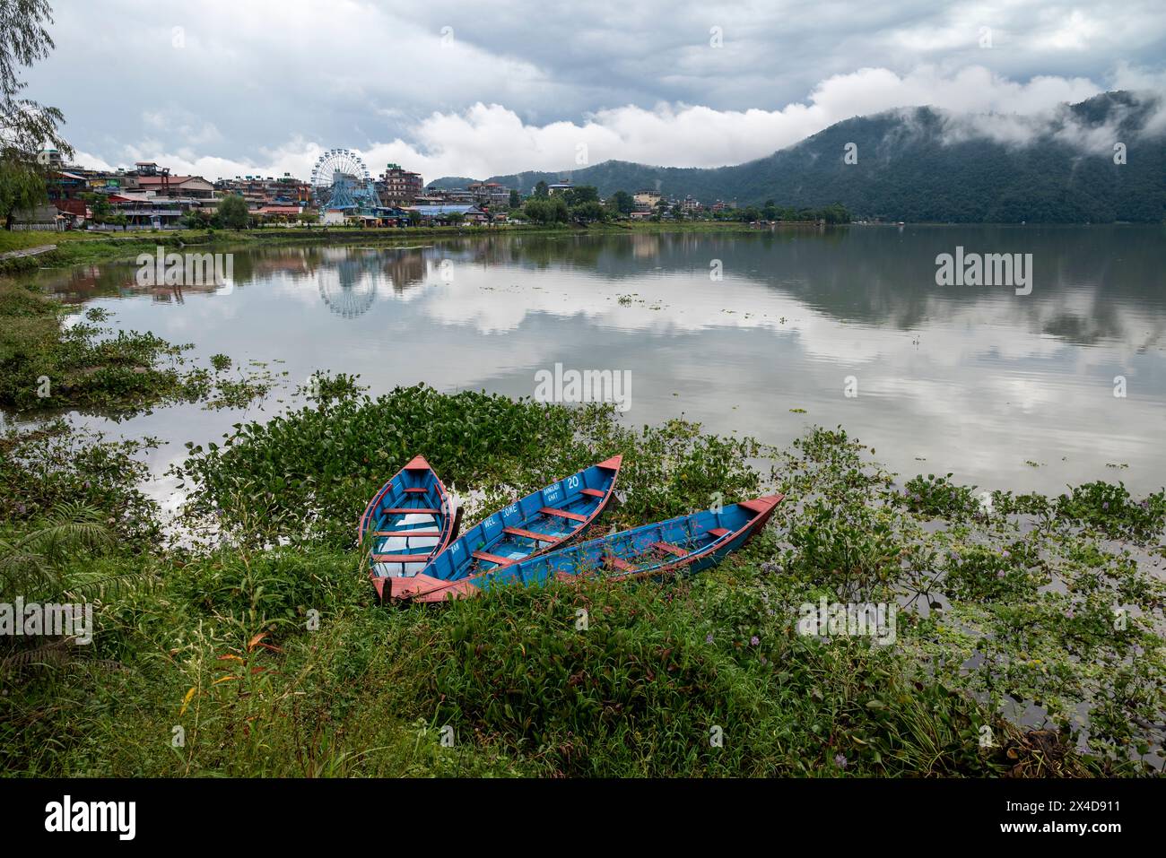 Nepal, Pokhara. Boats on Phewa Lake Stock Photo - Alamy