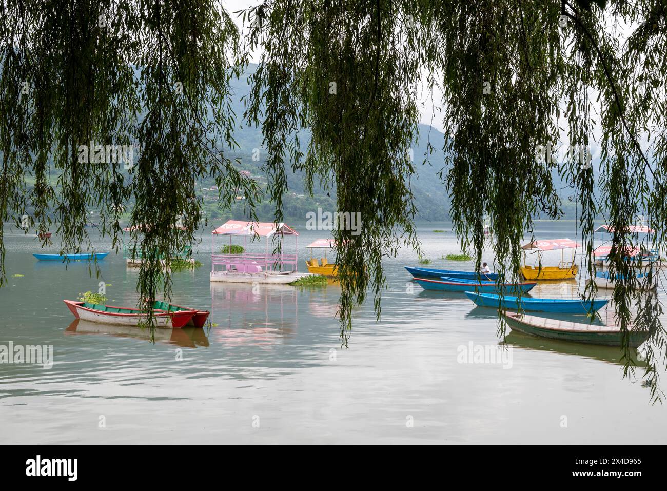 Nepal, Pokhara. Boats on Phewa Lake Stock Photo - Alamy