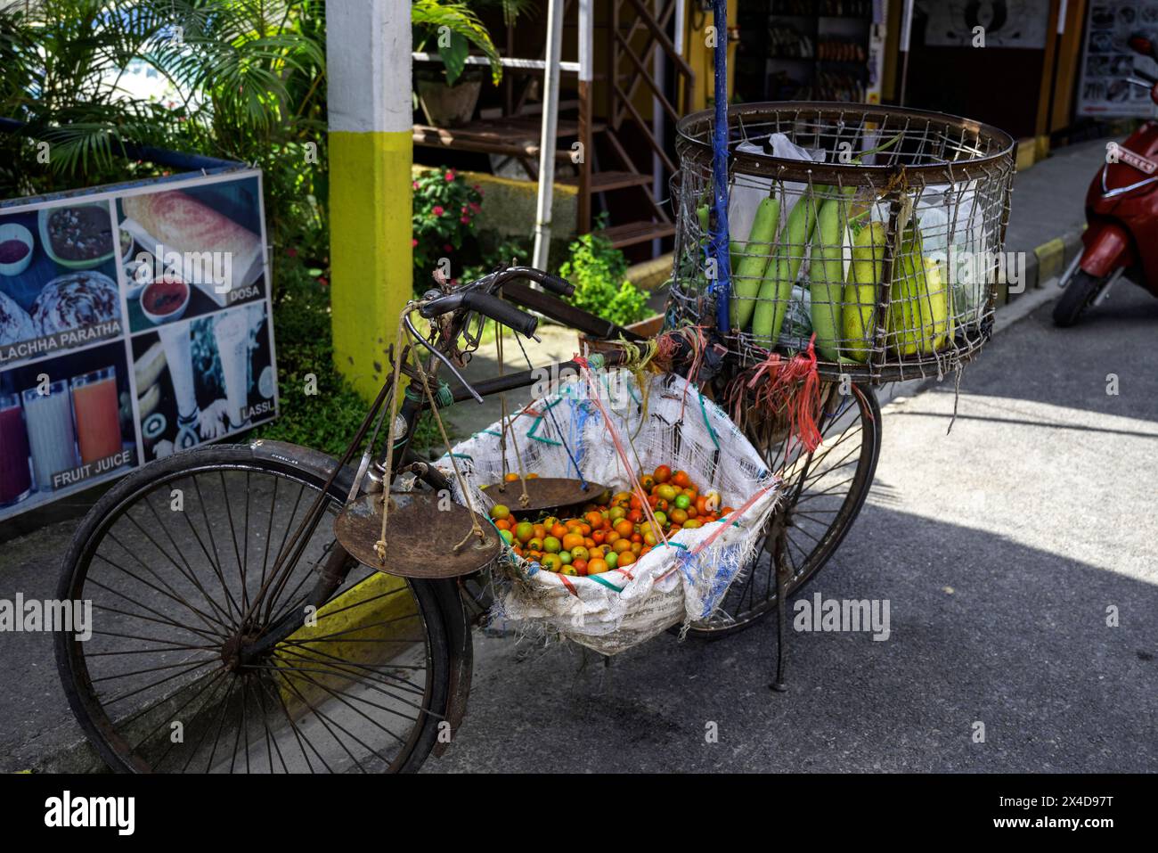 Nepal, Pokhara. Bicycle with produce in basket Stock Photo - Alamy