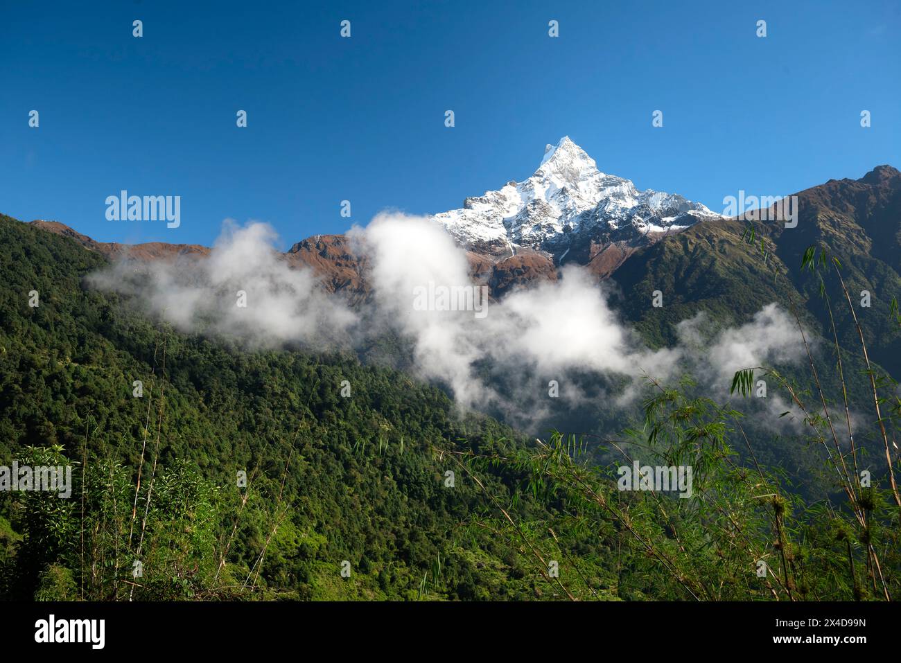 Nepal. Machapuchare Mountain above the clouds and Annapurna Range Stock ...