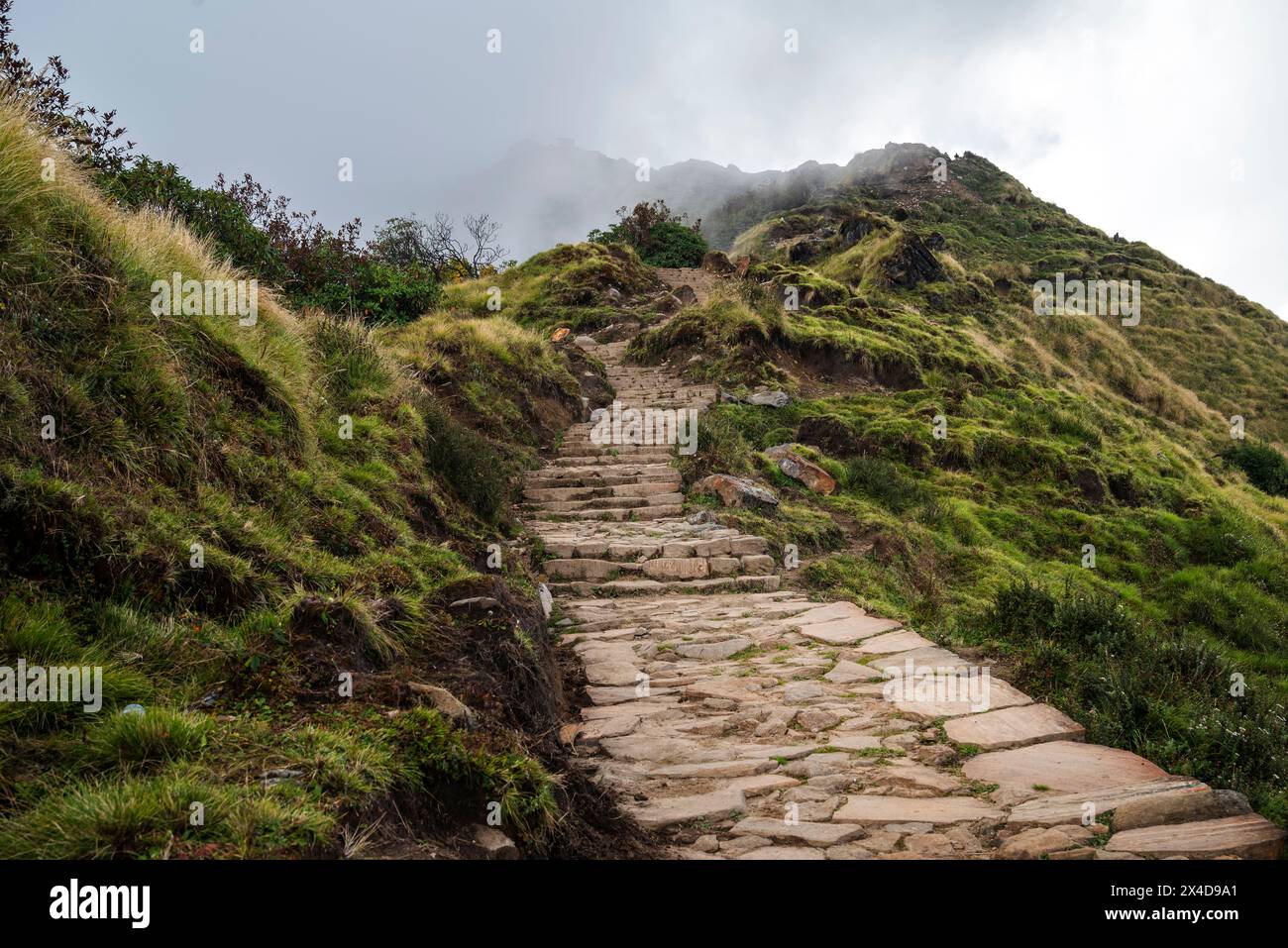 Nepal, Mardi Himal Trek path in the Annapurna Region Stock Photo - Alamy