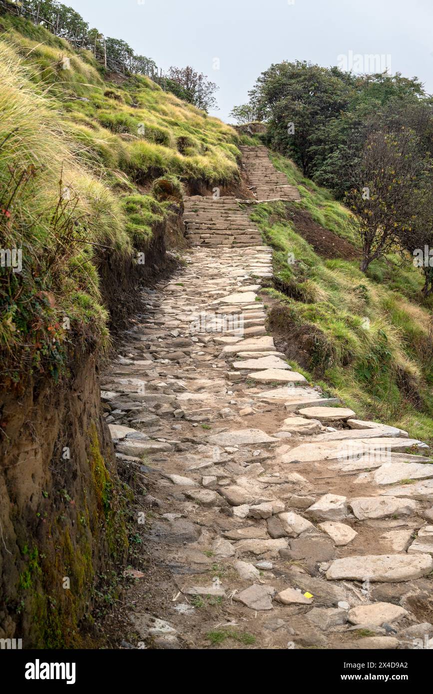 Asia, Nepal. Stone path on Mardi Himal Trek. (Editorial Use Only Stock ...