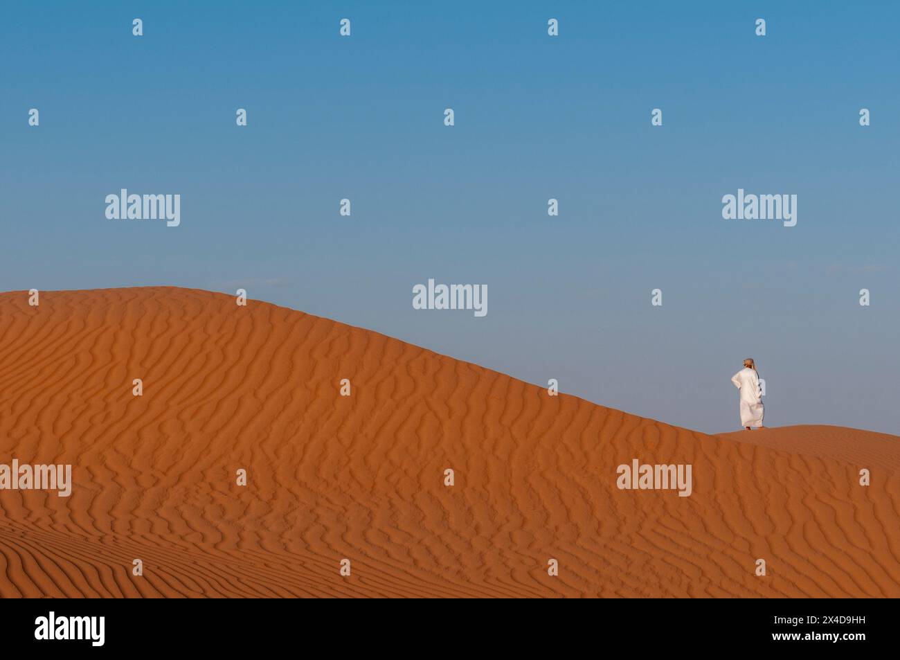 An Omani man walking along the crest of a sand dune at sunset. Wahiba ...