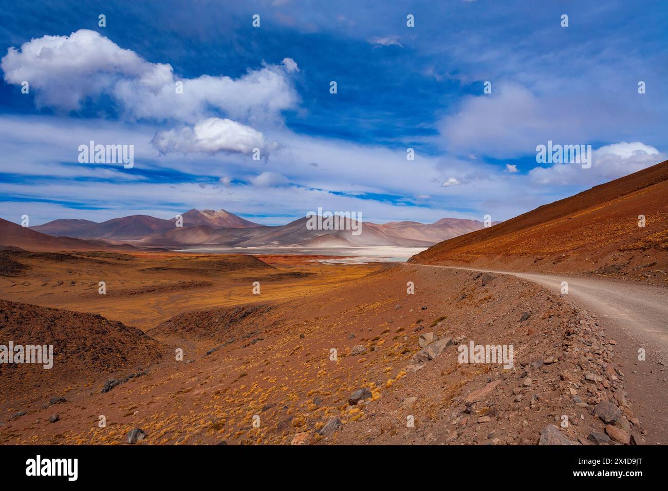 Road to Salar de Aguas Calientes (Spanish for Hot Waters Salt Lake) and ...