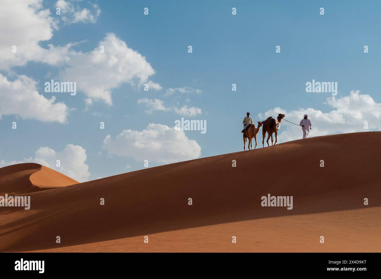 A Bedouin man leading a camel as another rides along the crest of a ...