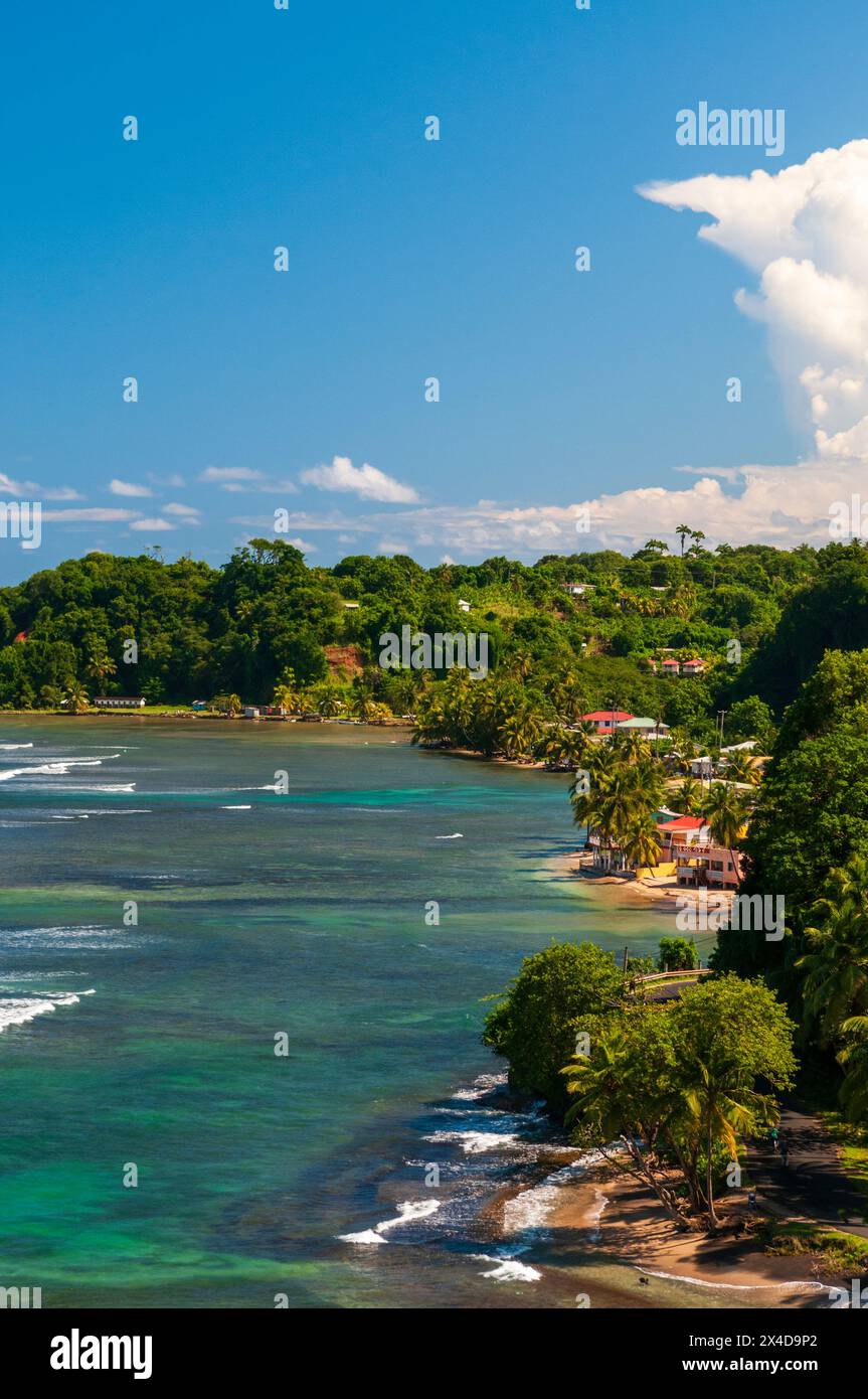 Bright red roofs dot Dominica's lush coastline at Calibishie, Dominica ...