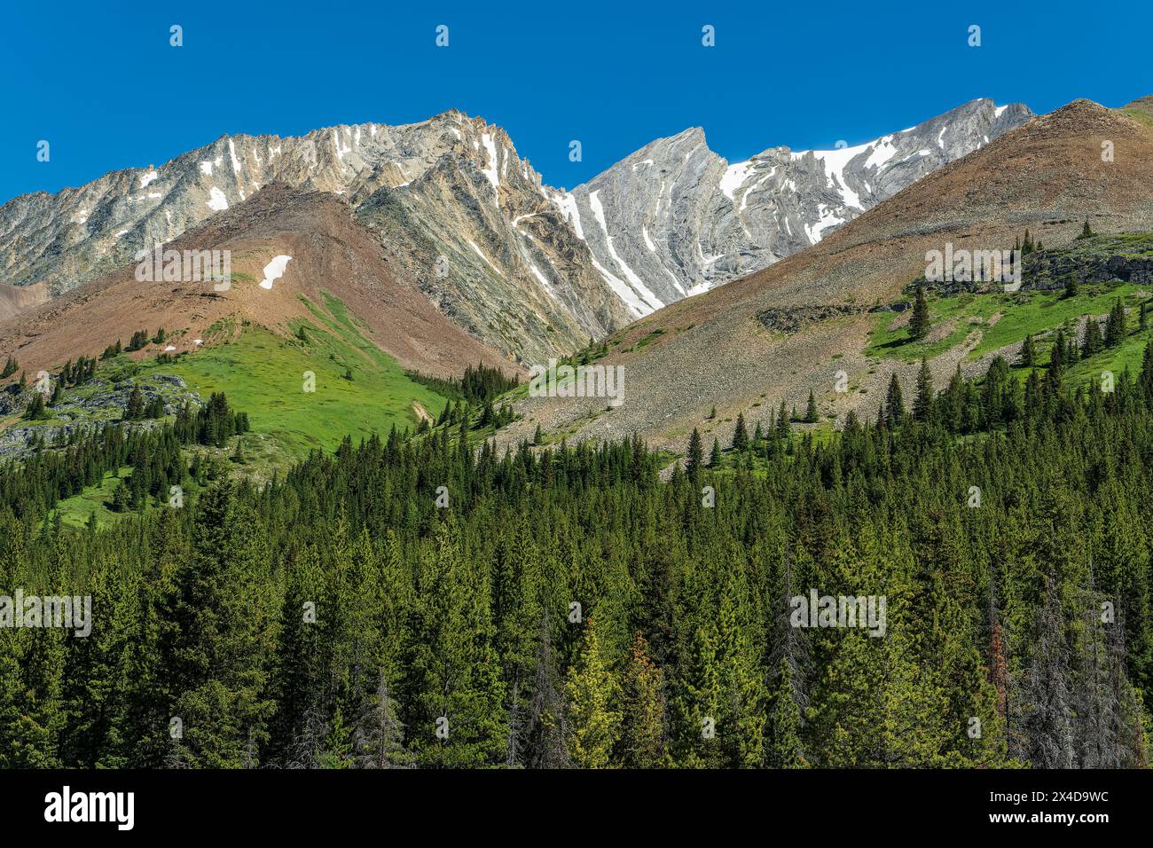 Canada alberta kananaskis country hi-res stock photography and images ...