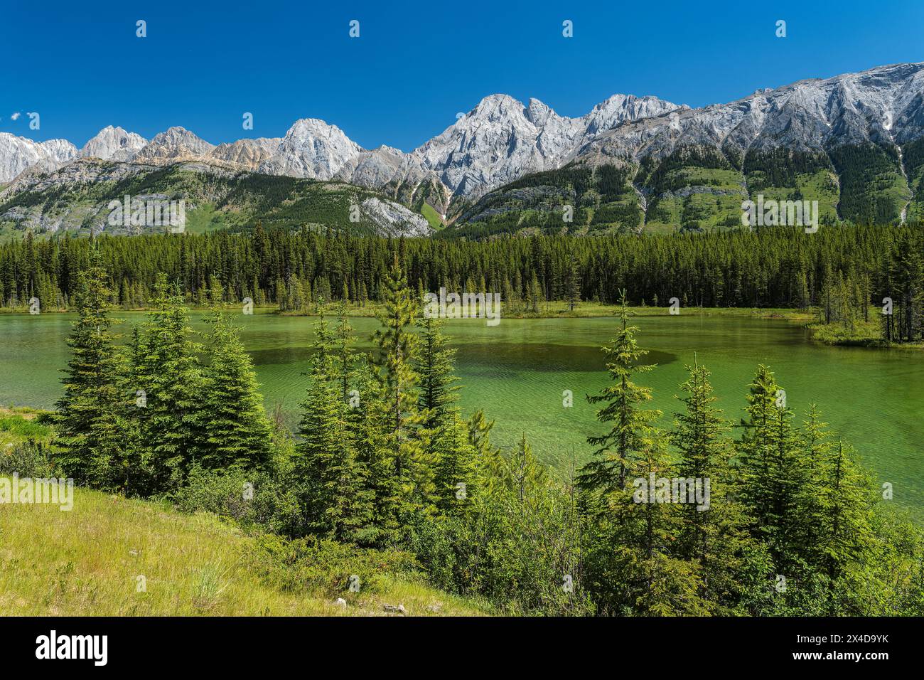 Canada, Alberta, Kananaskis Country. Landscape with Spillway Lake and ...