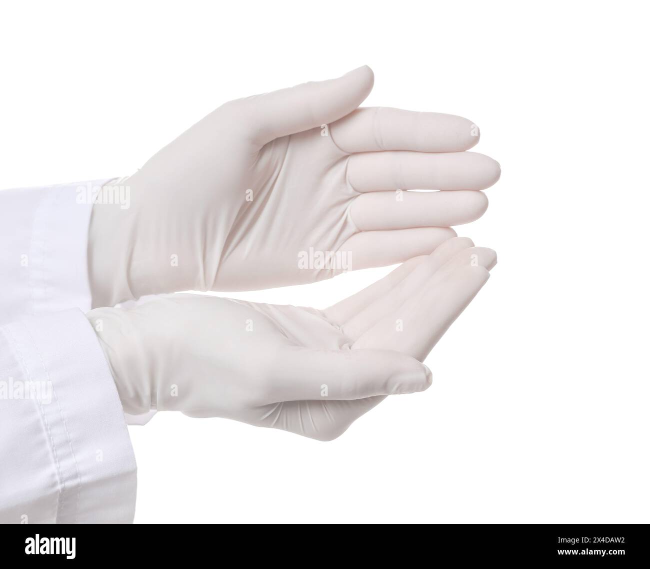 Doctor wearing medical gloves on white background, closeup Stock Photo ...