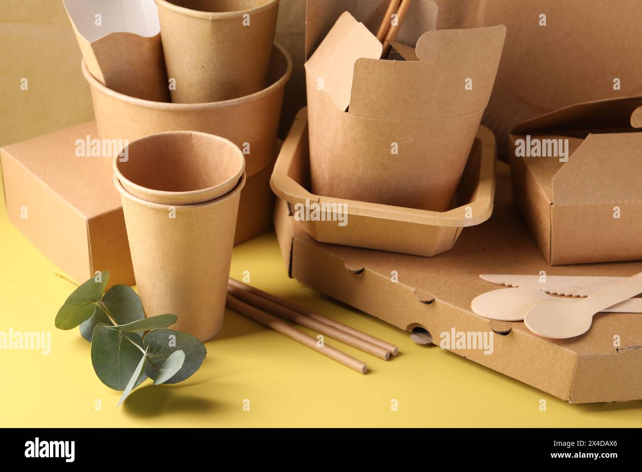 Eco friendly food packaging. Paper containers, tableware and eucalyptus ...