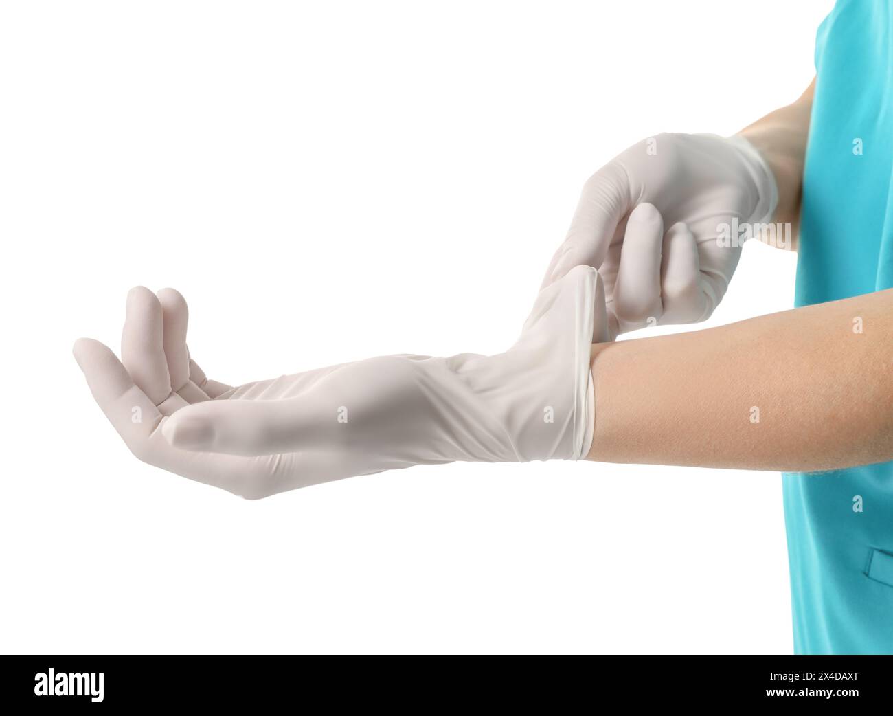 Doctor wearing medical gloves on white background, closeup Stock Photo ...