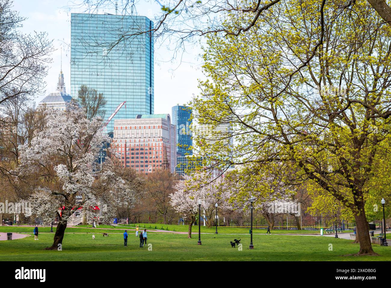 The Boston Commons in Massachusetts, USA Stock Photo - Alamy