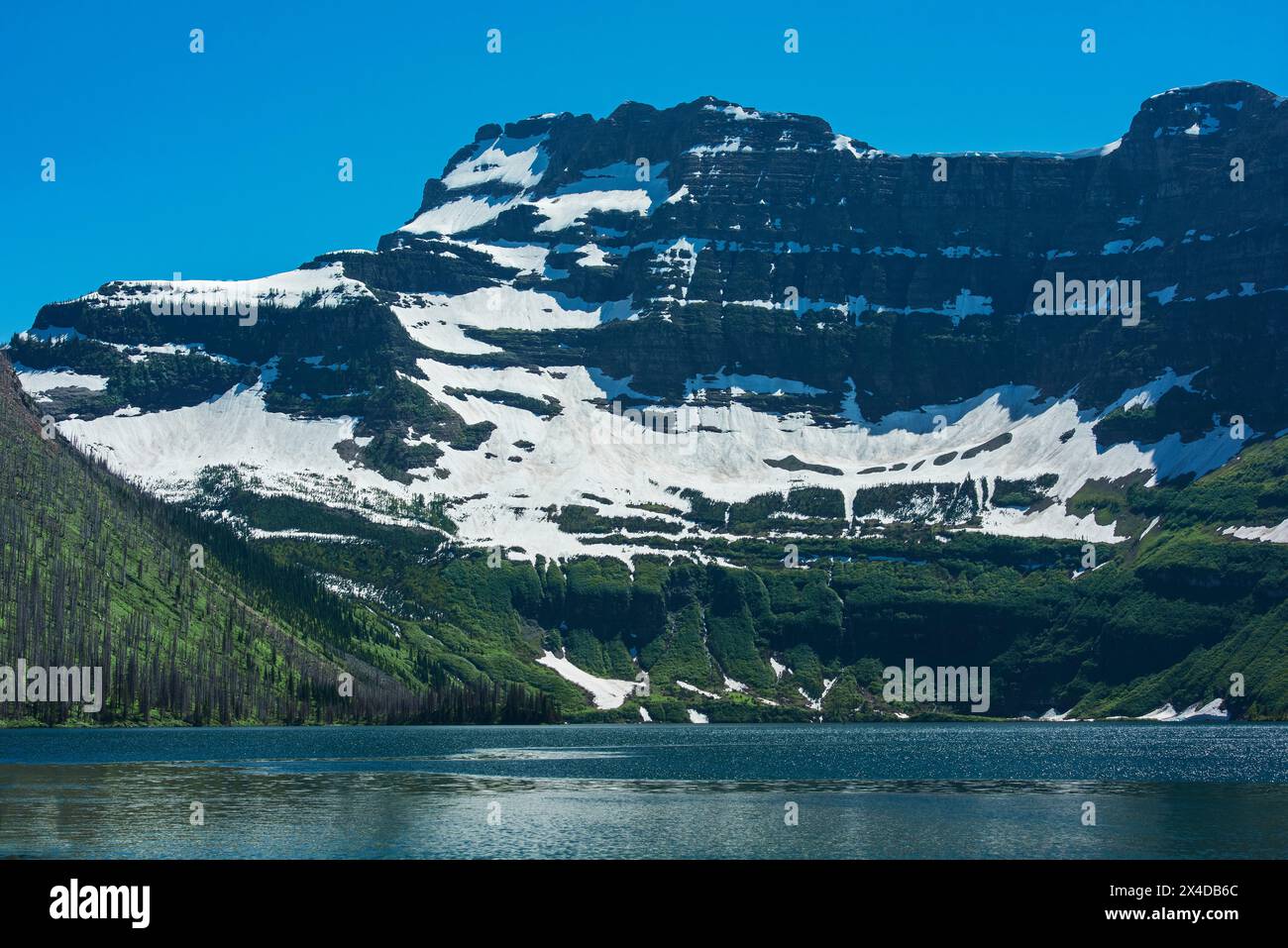 Canada, Alberta, Waterton Lakes National Park. Landscape with Cameron ...