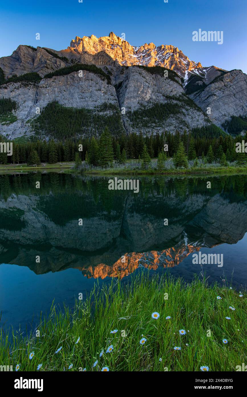 Canada, Alberta, Banff National Park. Cascade Mountain reflected in Cascade Pond at sunrise ...