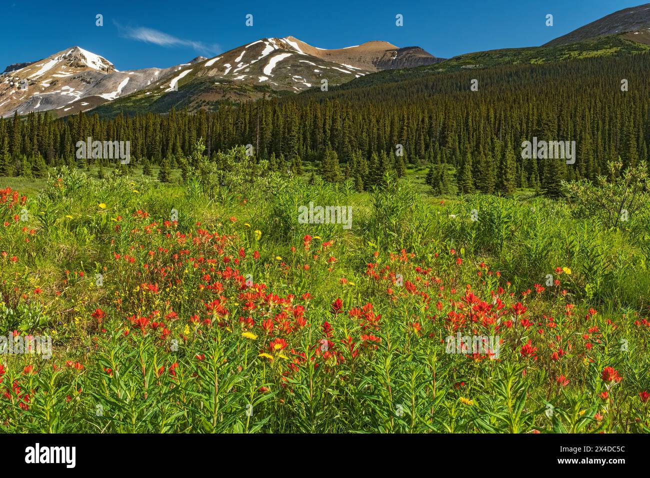 Canada, Alberta, Banff National Park. Landscape with mountains and ...