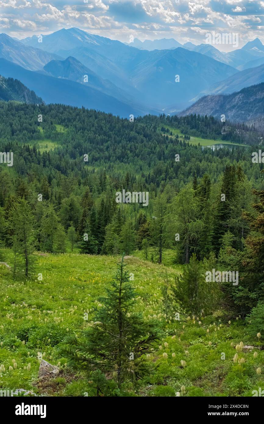 Canada, Alberta, Banff National Park. Mountain landscape with Banff ...