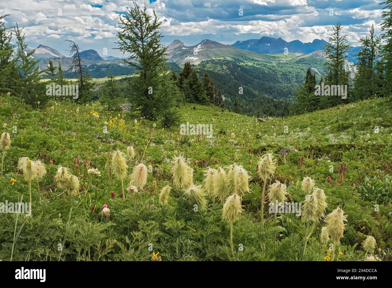 Canada, Alberta, Banff National Park. Mountain landscape and western ...