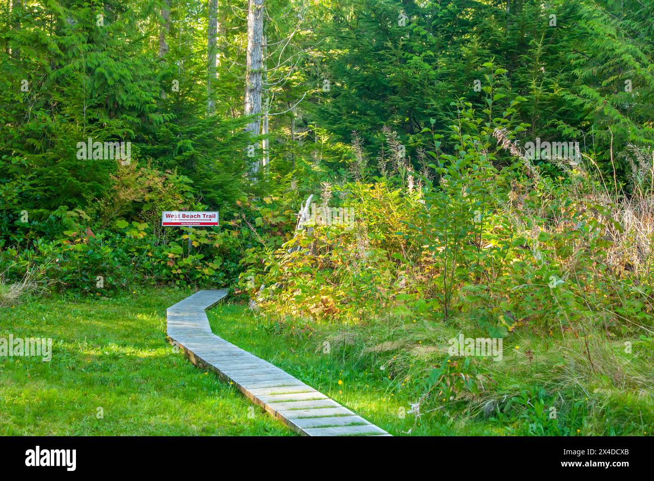 Canada, British Columbia, Inside Passage. Trail at the Hakai Beach ...