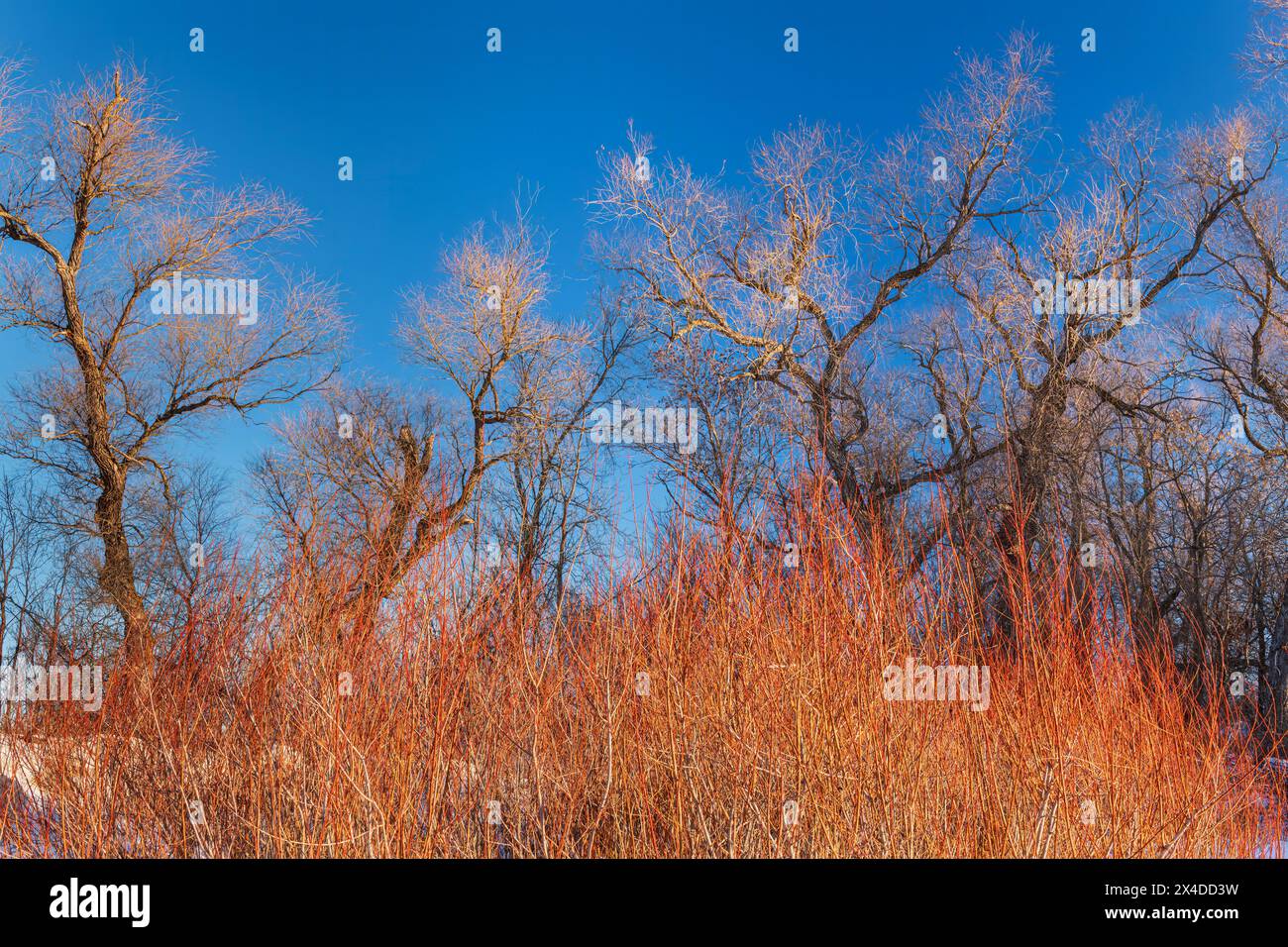 Patricia beach provincial park hi-res stock photography and images - Alamy