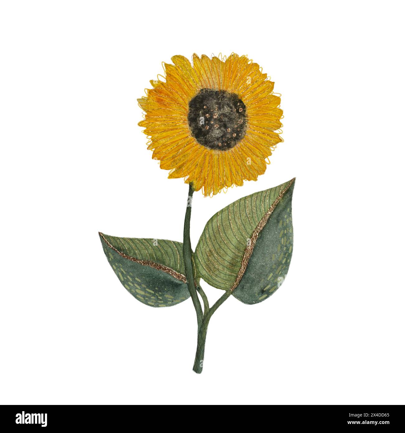 Decorative yellow sunflower, watercolor isolated object on white ...