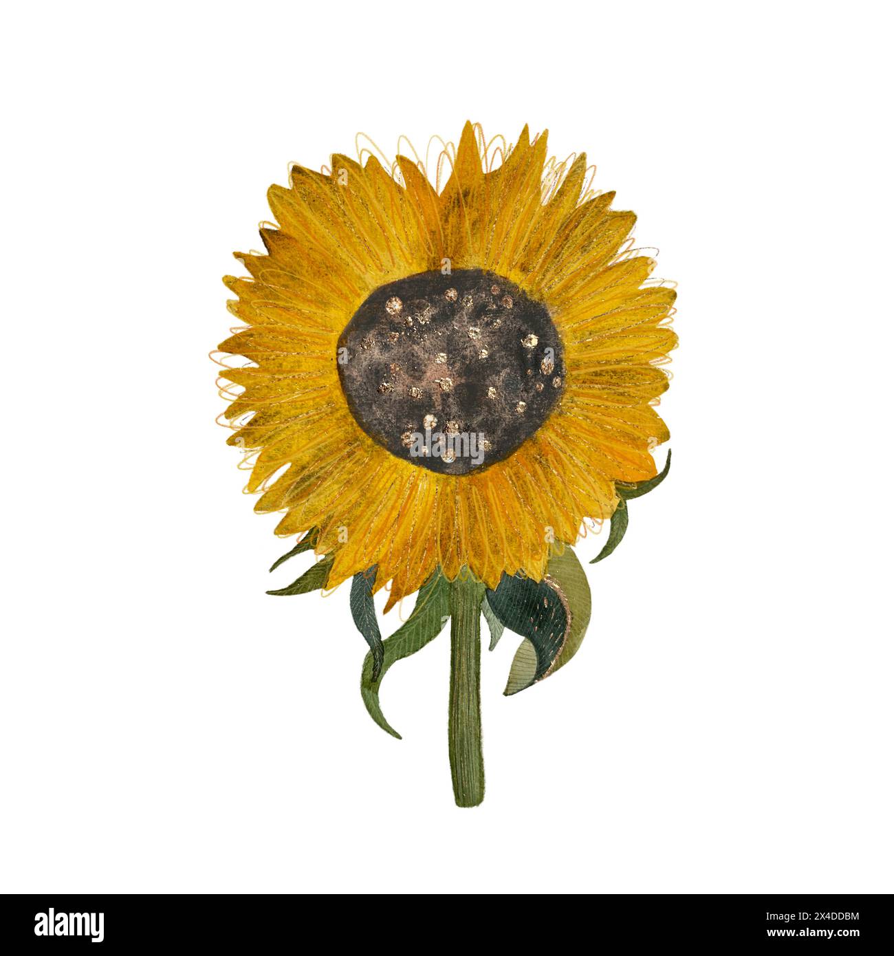 Decorative yellow sunflower, watercolor isolated object on white ...