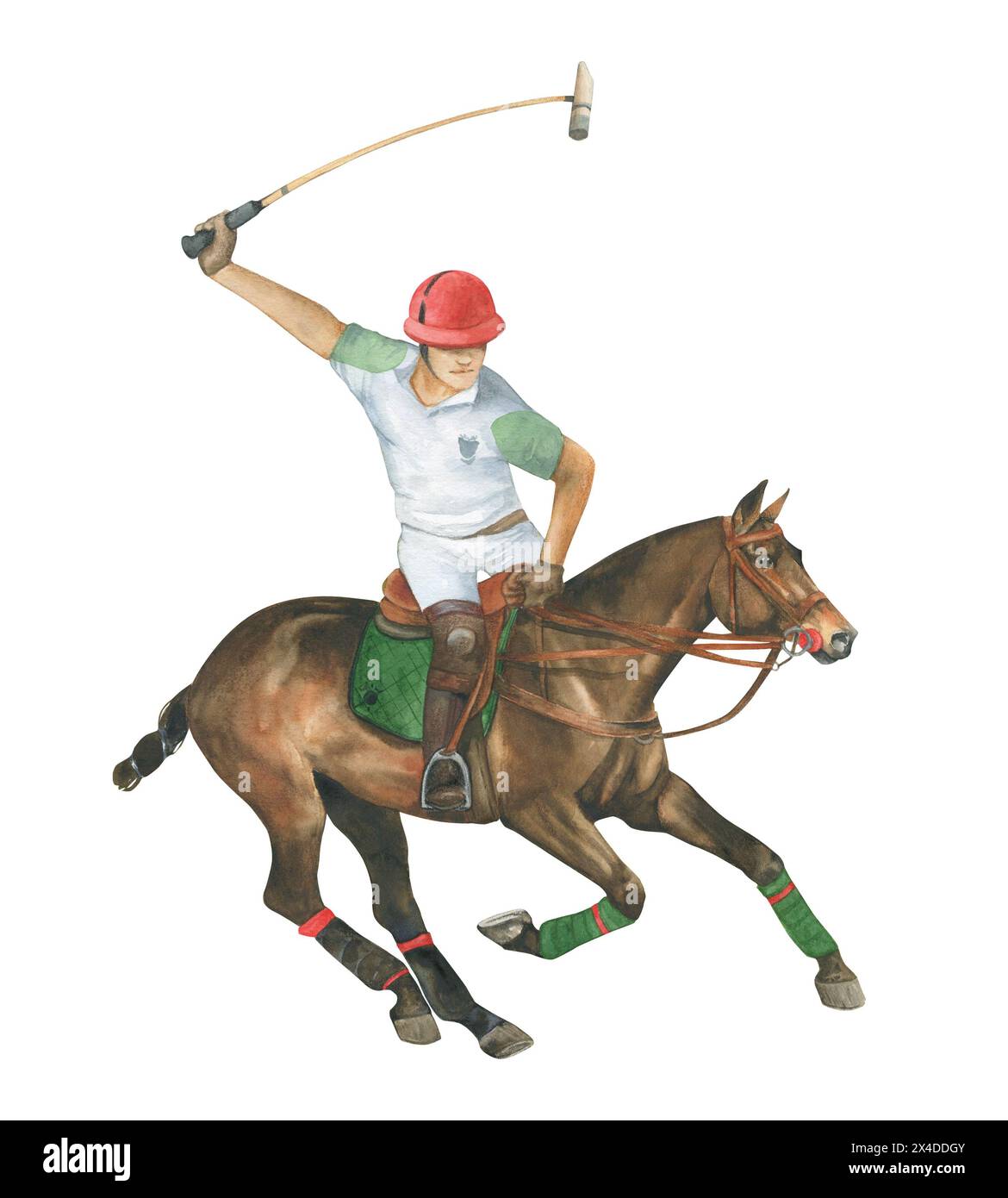Watercolor illustration of a rider on a horse, playing equestrian polo ...