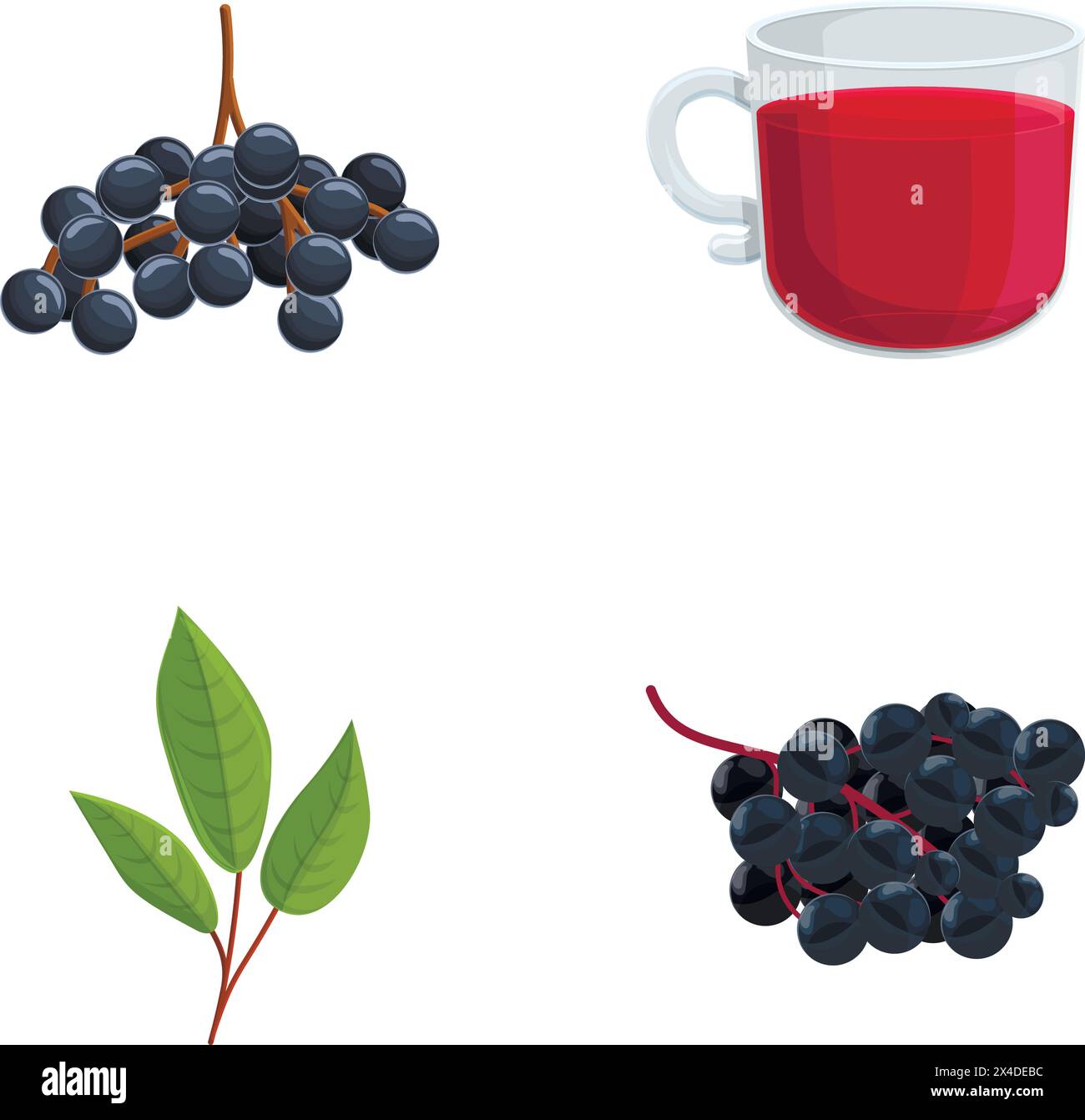 Elderberry syrup icons set cartoon vector. Black elderberry syrup in ...