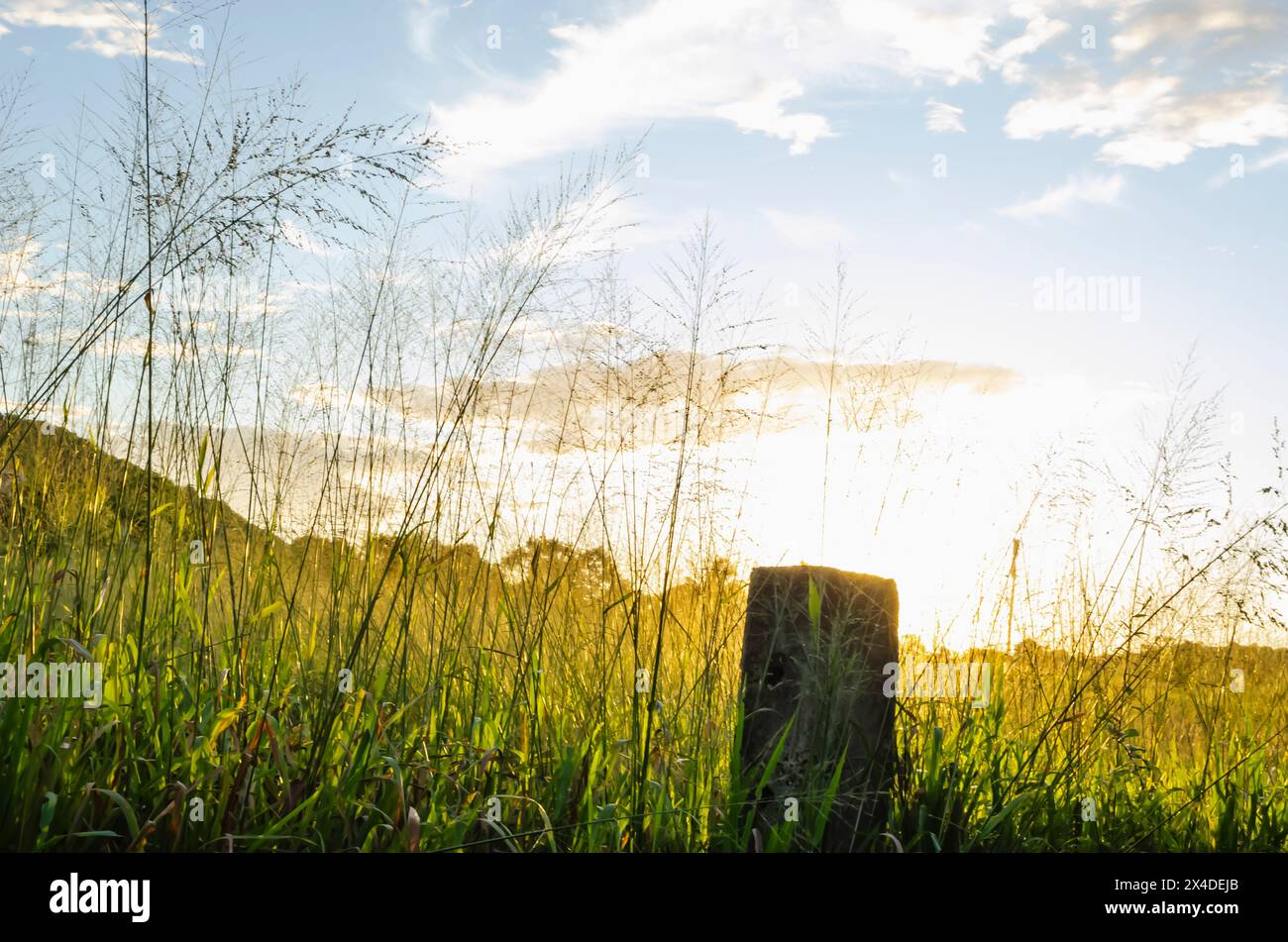 Rising Sun Stock Photo - Alamy