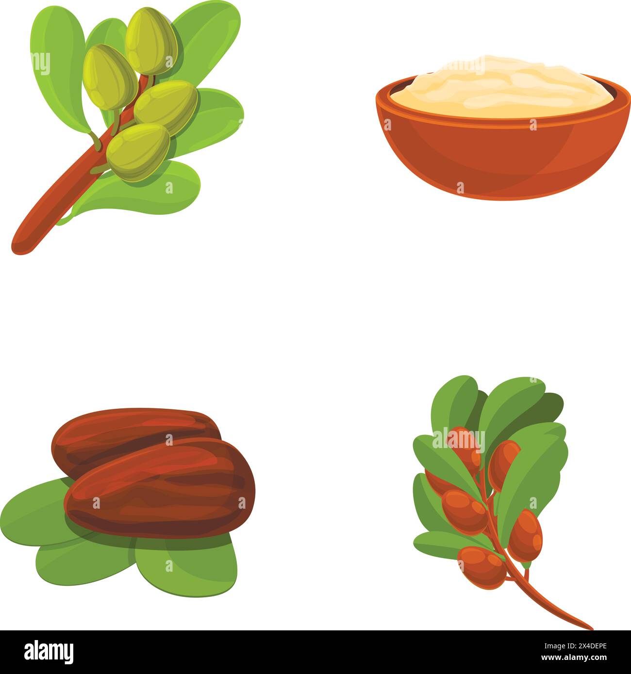 Shea plant icons set cartoon vector. Shea nut and leaf with liquid ...