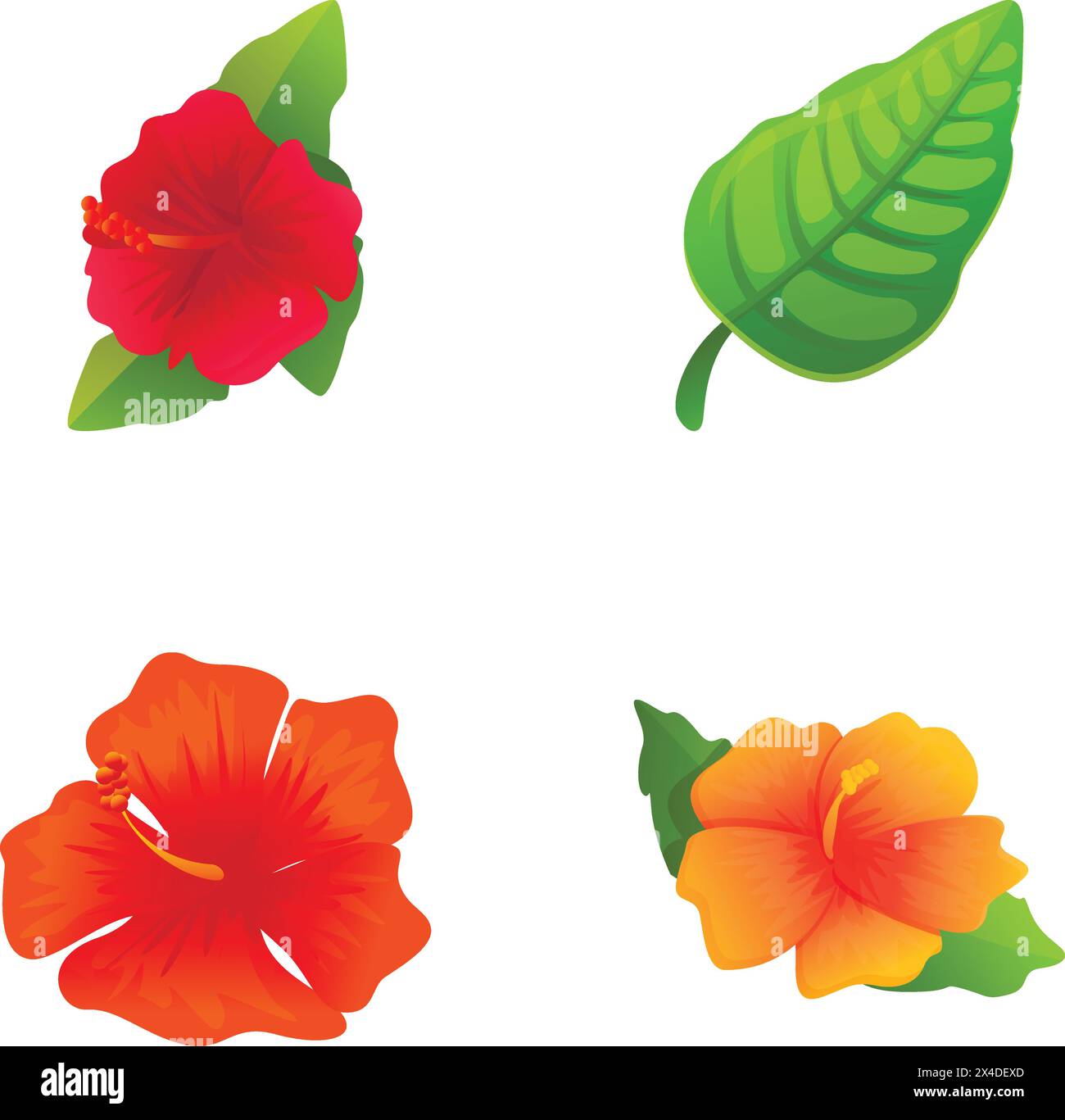 Hibiscus icons set cartoon vector. Blooming red hibiscus with green ...