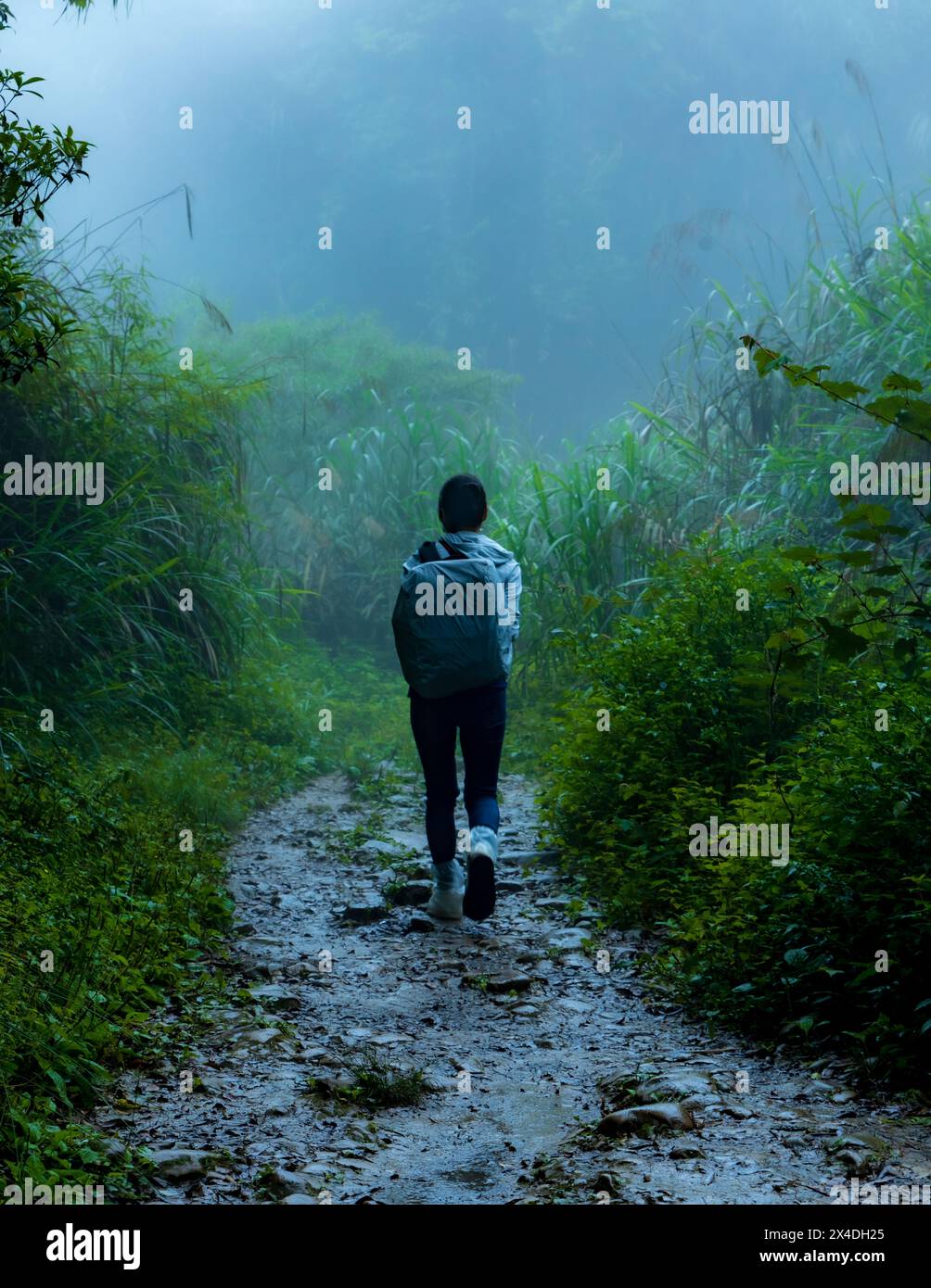 On a rainy and foggy afternoon in summer, a young female hiker walks ...