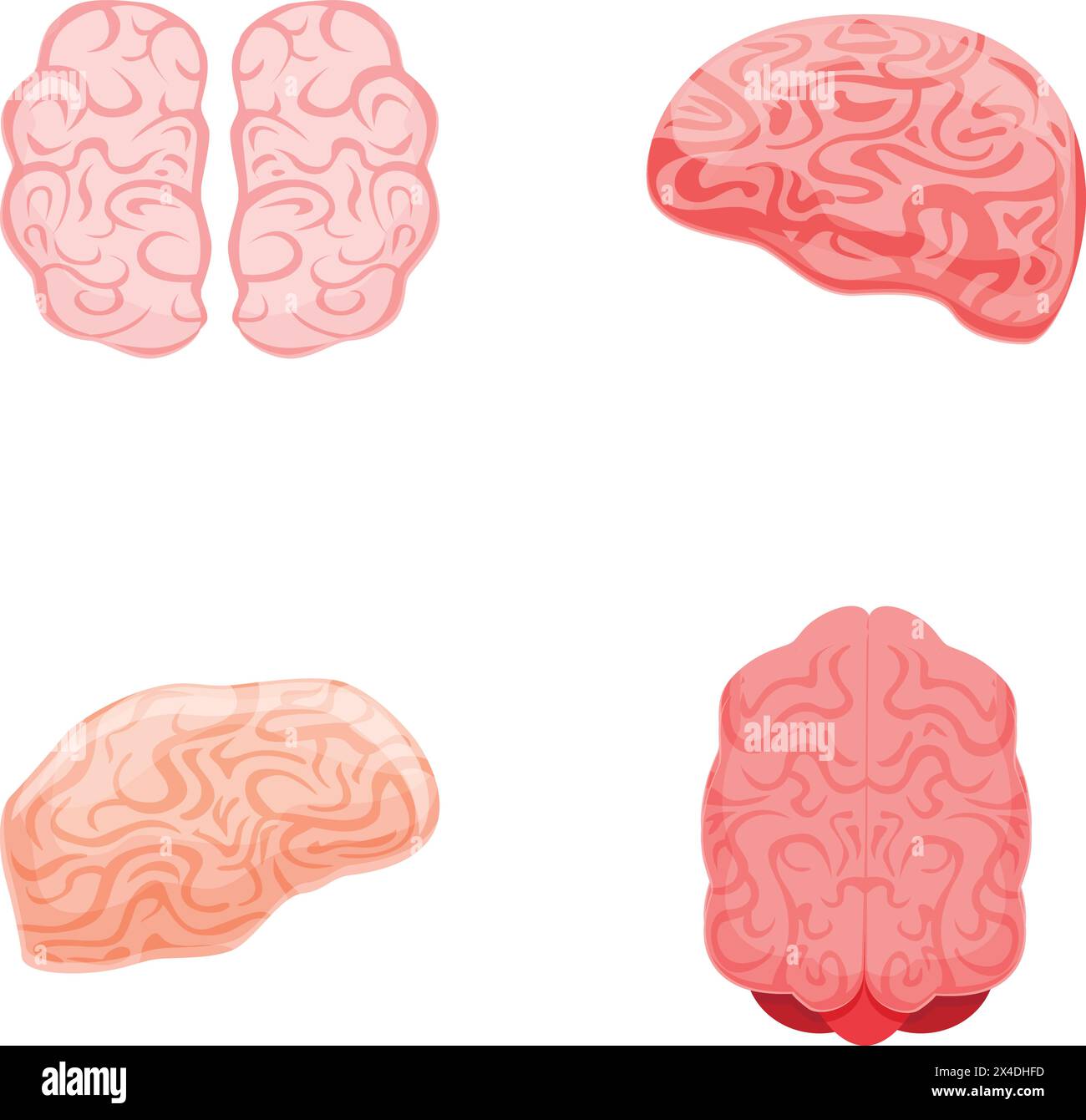Brain icons set cartoon vector. Left and right hemisphere of human ...