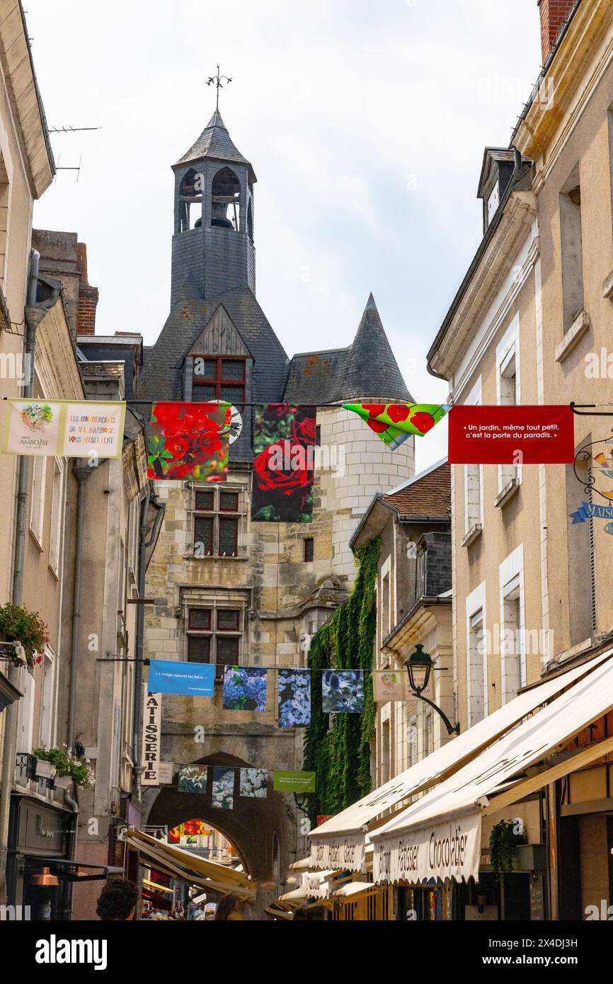 Loire Valley, the town of Amboise, where Leonardo DaVinci spent the ...